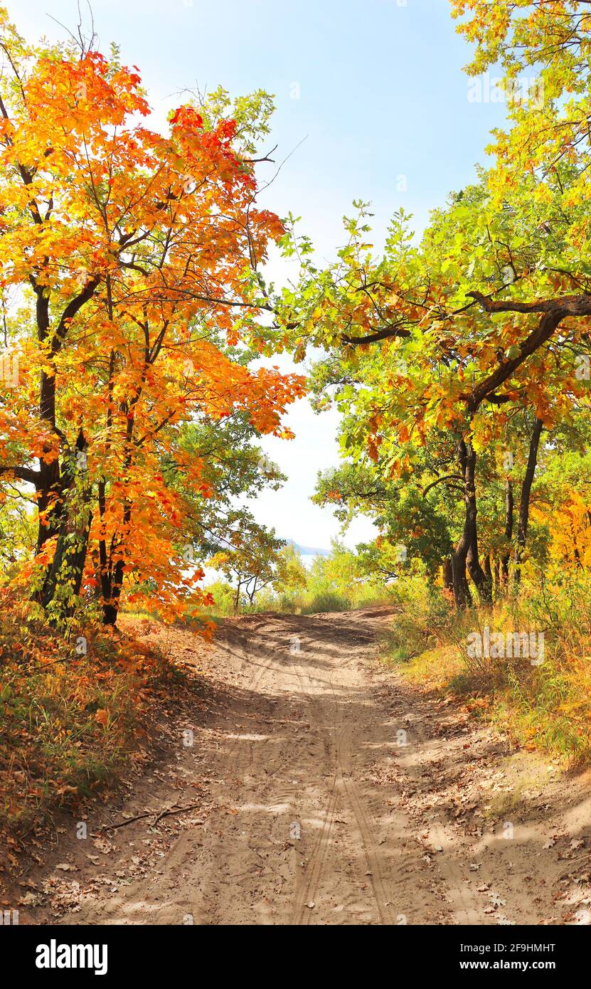 Calm fall season. Beautiful landscape with road in autumn forest ...