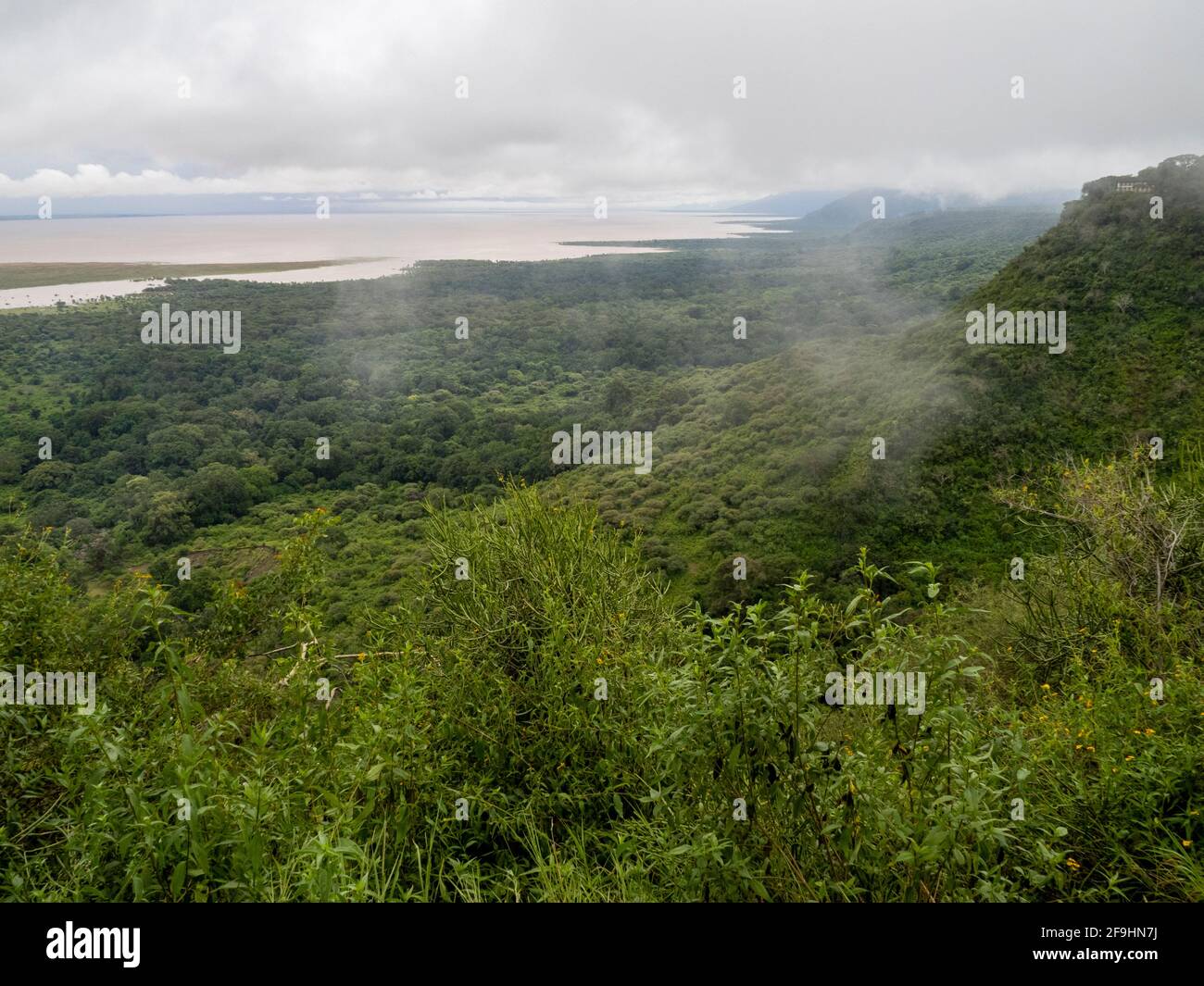 Jungle overlook hi-res stock photography and images - Alamy