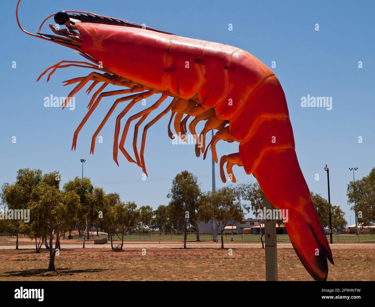 Quirky prawn hi-res stock photography and images - Alamy