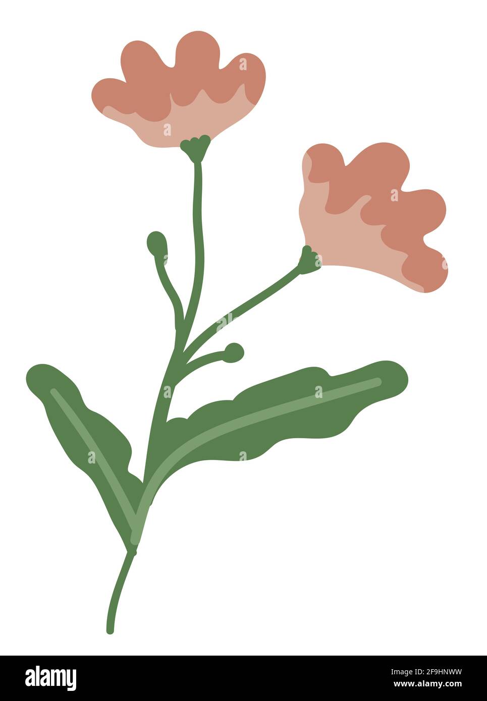 Tender romantic flower composition Cut Out Stock Images & Pictures - Alamy