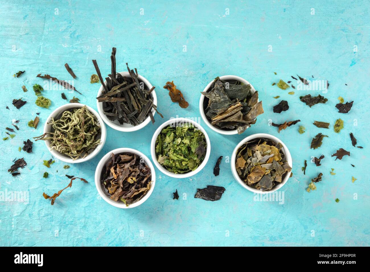 Blue seaweed hi-res stock photography and images - Alamy