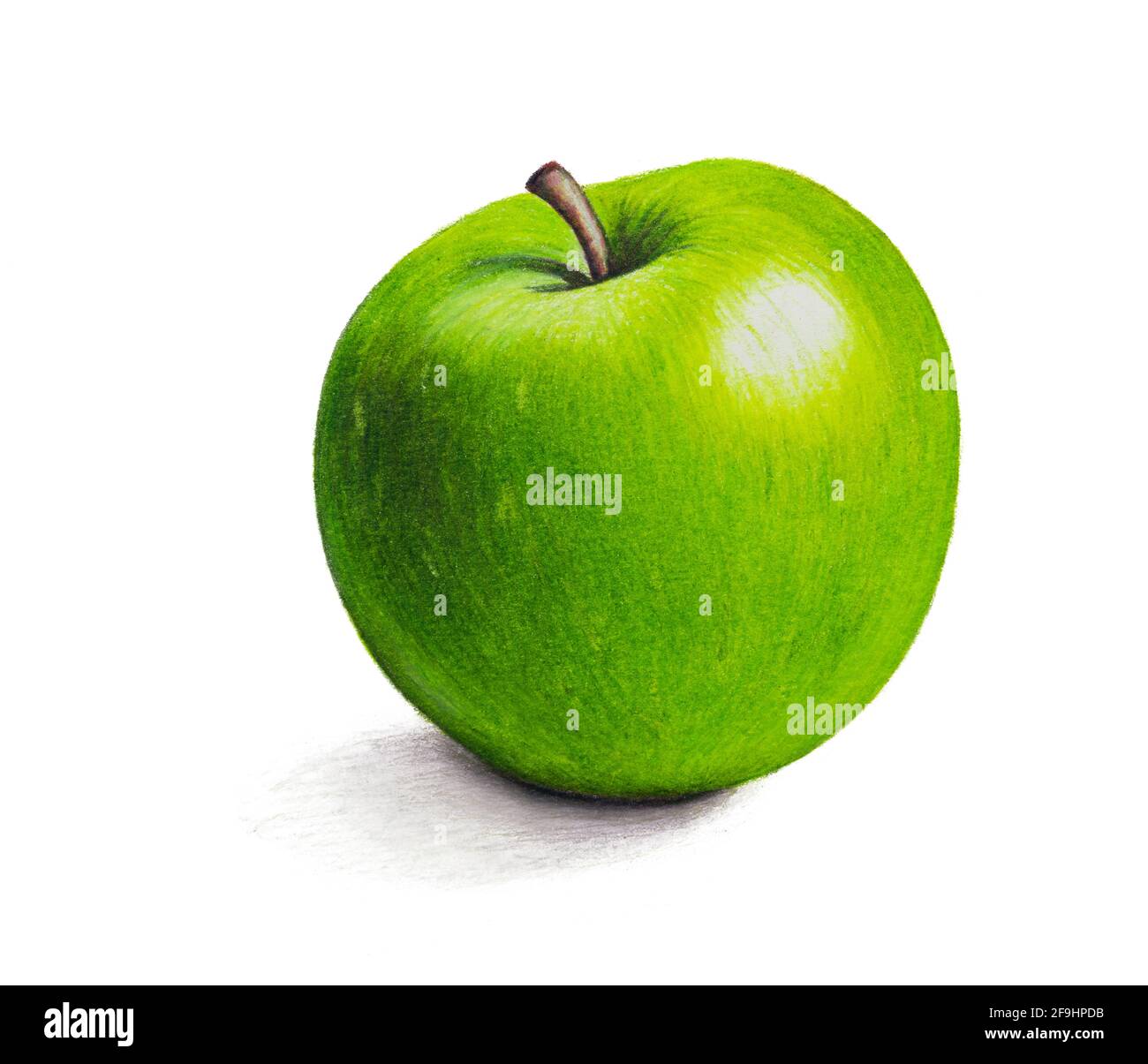 ripe picturesque green apple - realistic drawing with colored pencils ...