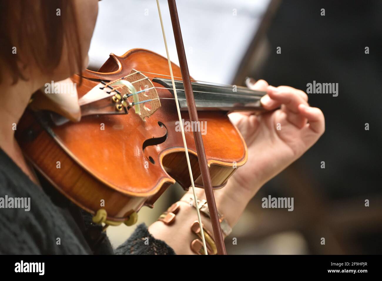 violin during a concert , with hands and a bows Stock Photo - Alamy