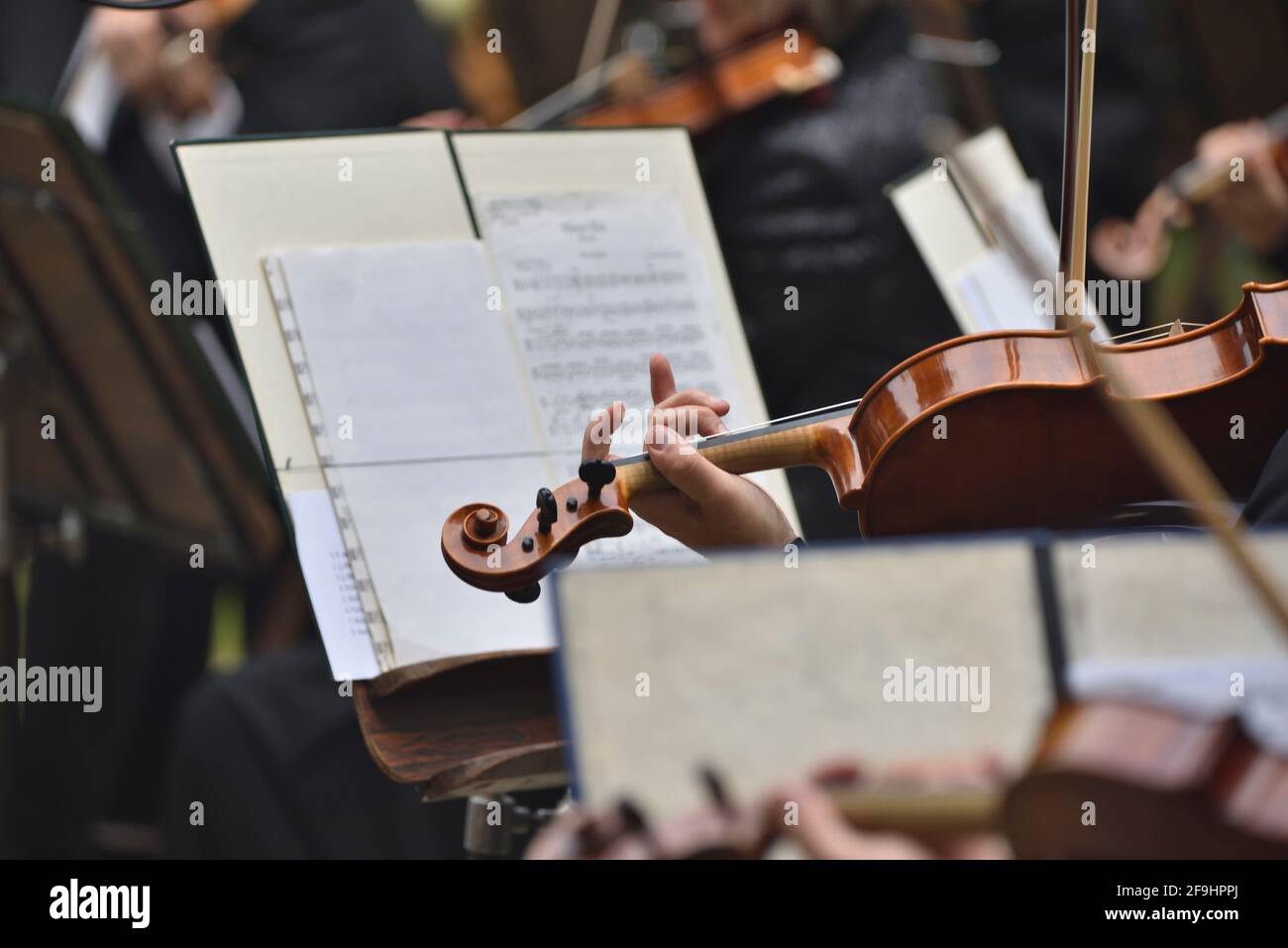 violin during a concert , with hands and a bows Stock Photo - Alamy