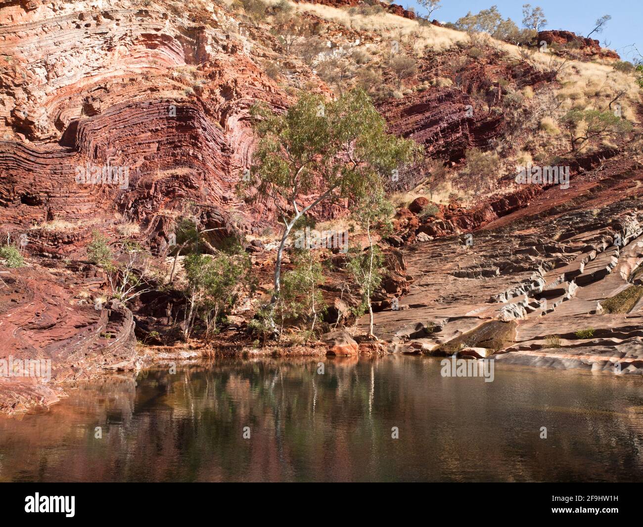 Folded rock strata and snappy gums, Hamersley Gorge, Karijini National ...