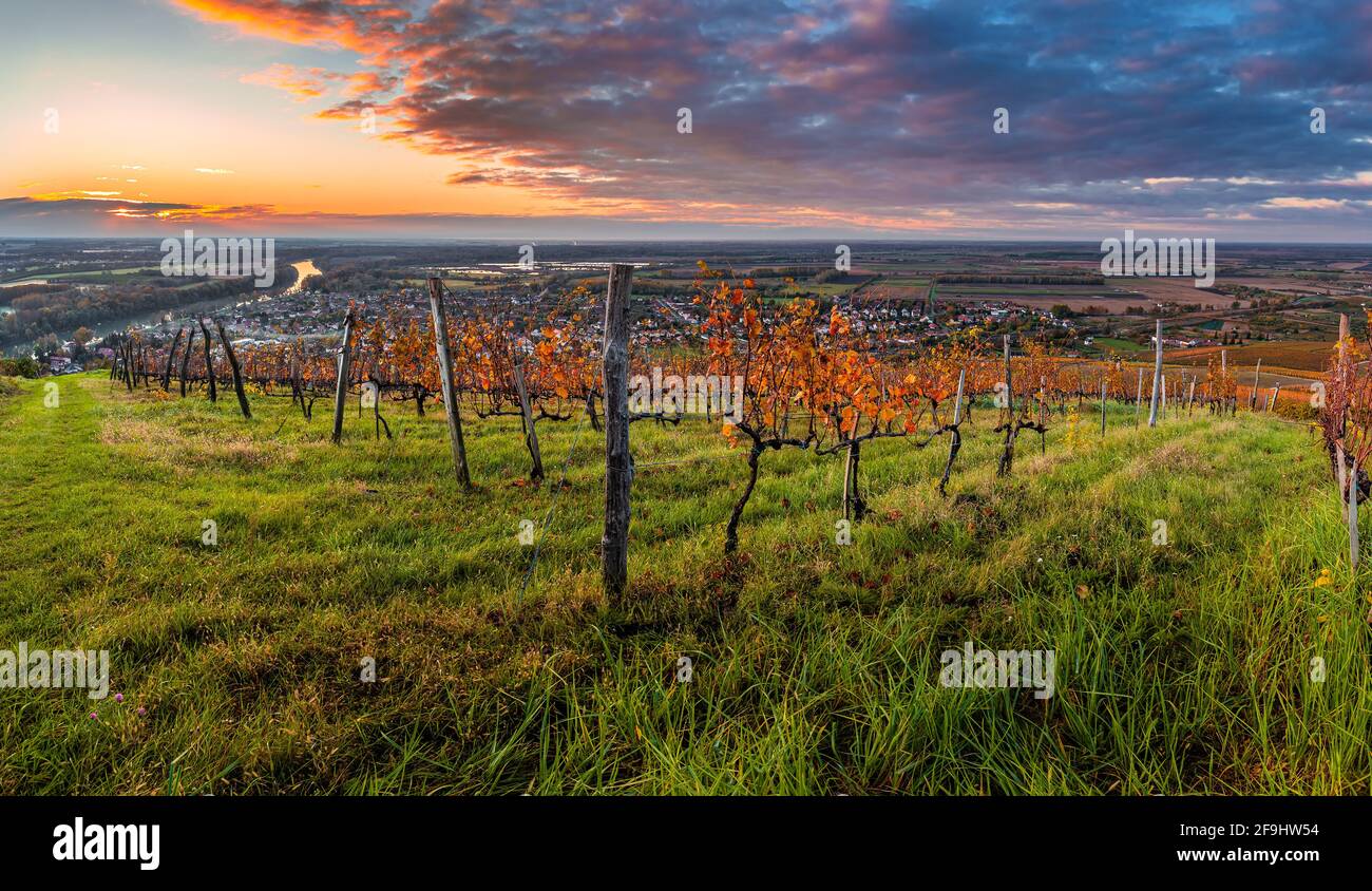 Tokaji landscape hi-res stock photography and images - Alamy