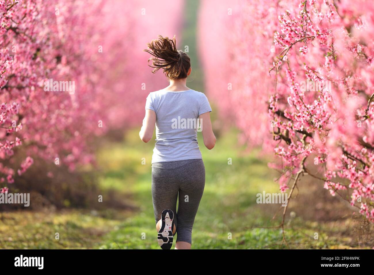 Back view of a runner woman practicing sport running through a pink ...
