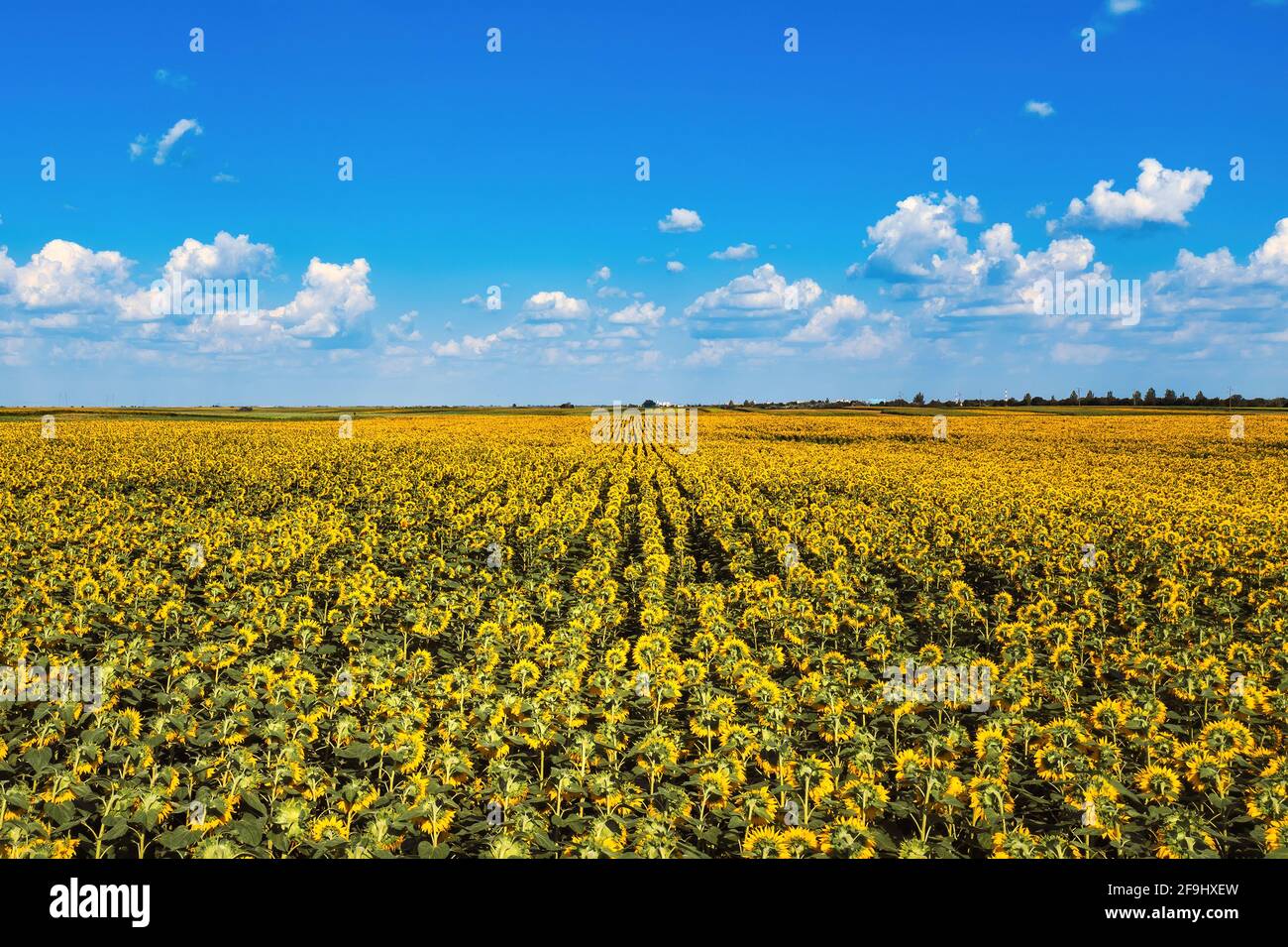 Drone large field hi-res stock photography and images - Alamy
