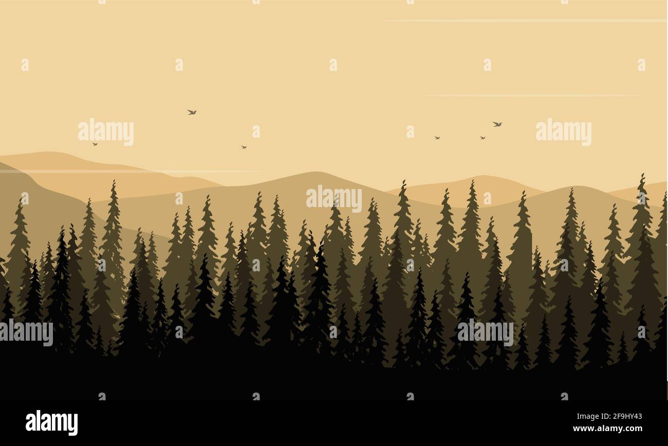 Sunny morning with views of the mountains with the forest in the ...