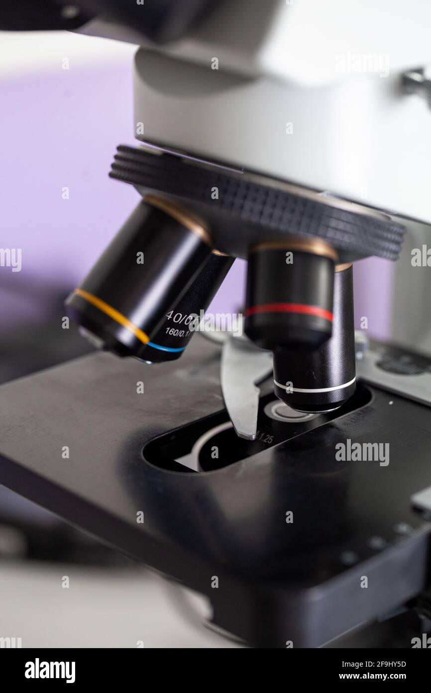Microscope close up glass tray hi-res stock photography and images - Alamy