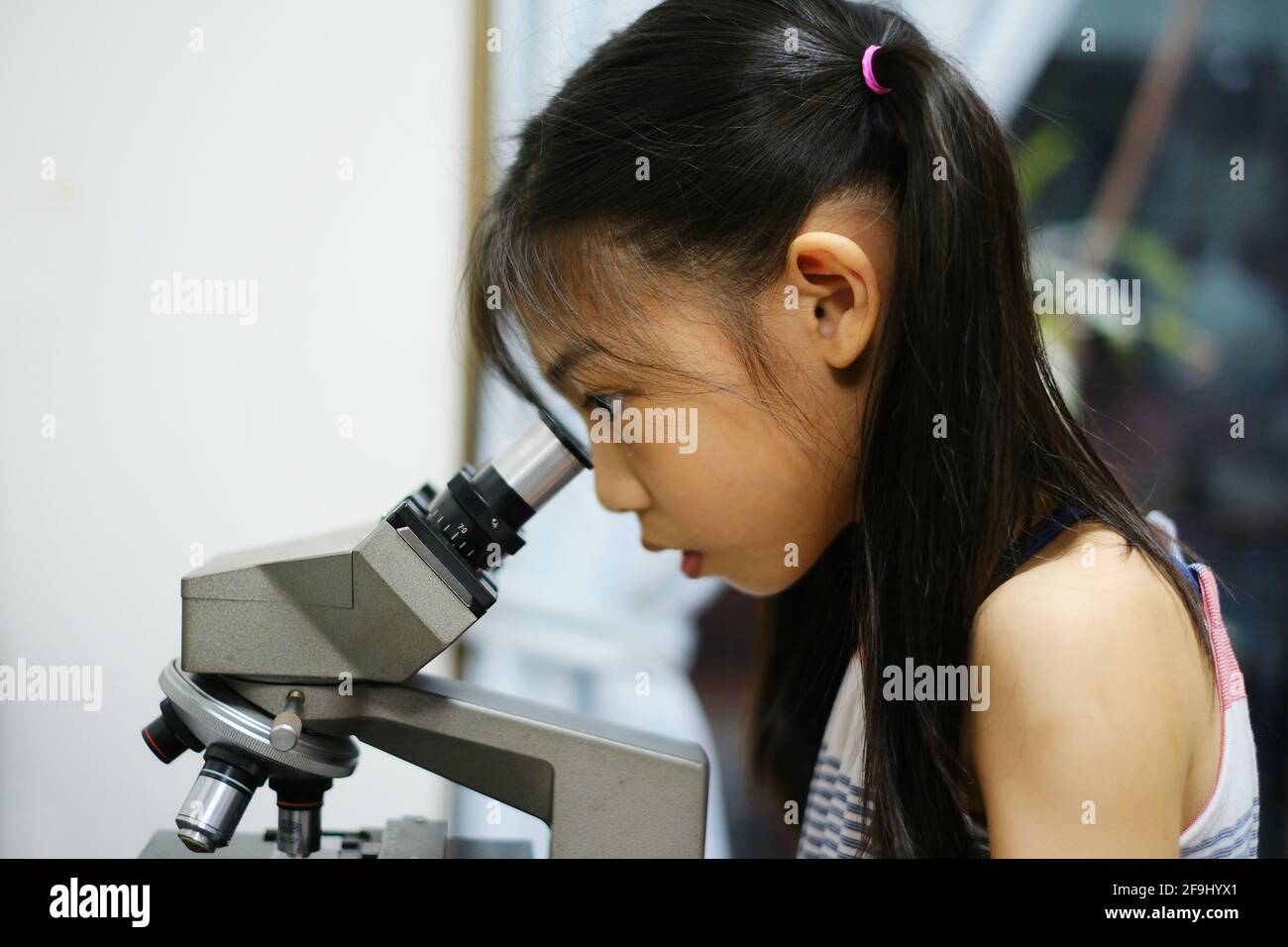 A cute young Asian girl is learning to use a microscope in her biology ...