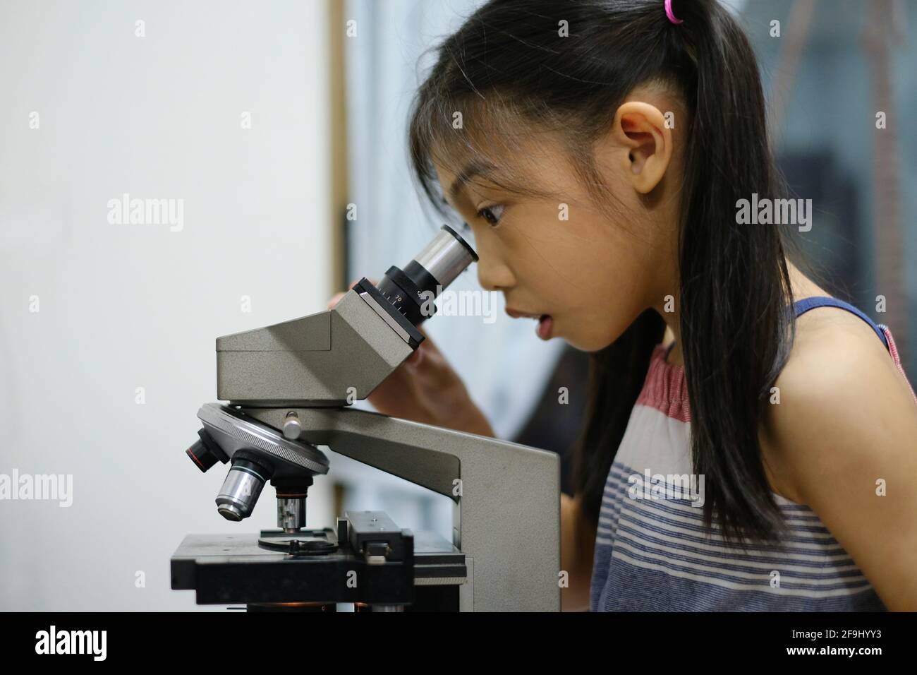 A cute young Asian girl is learning to use a microscope in her biology ...