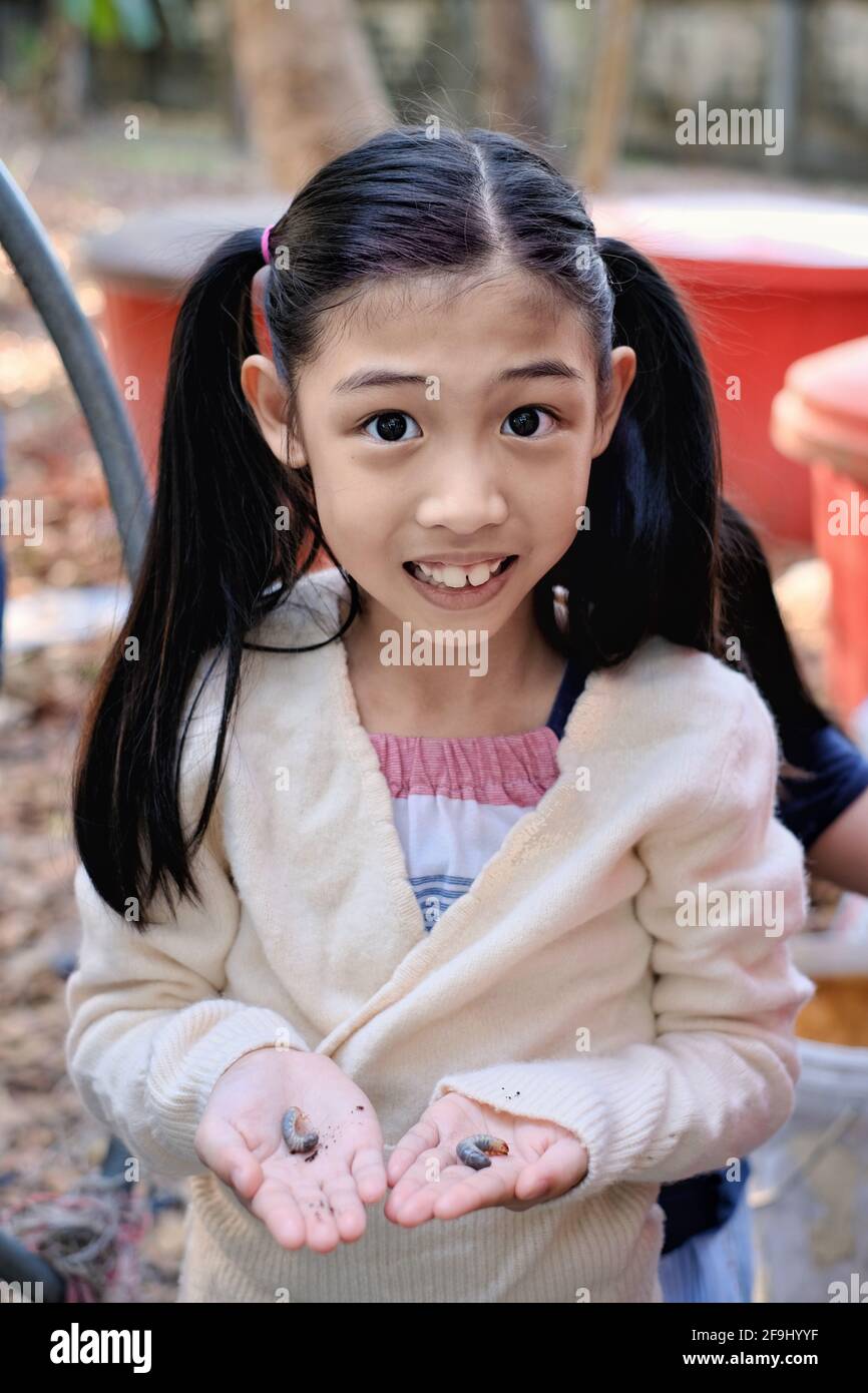 A girl is showing off rhinoceros beetle larvae in her hands after ...