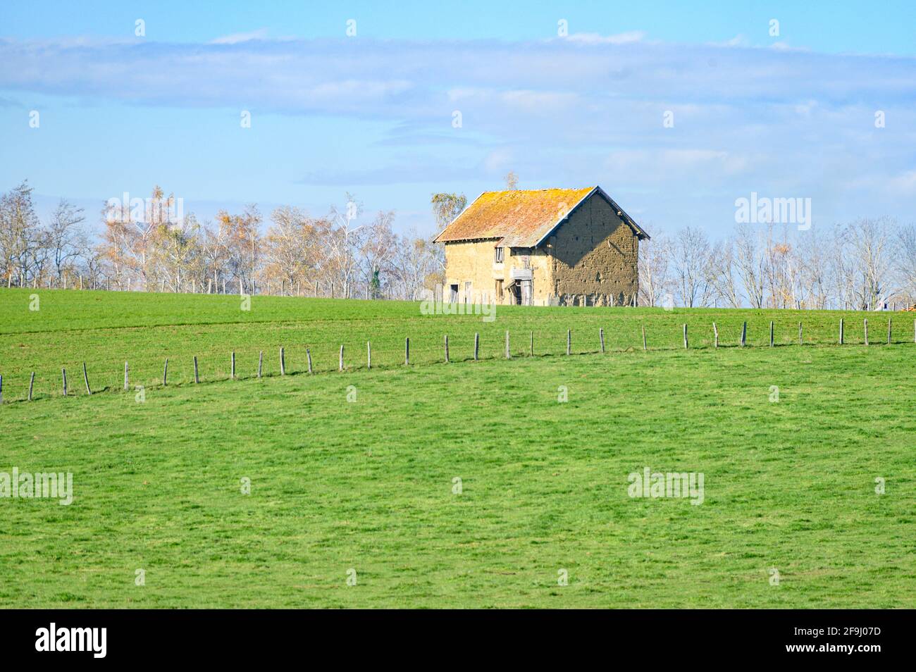 Lush green environment featuring small hi-res stock photography and ...