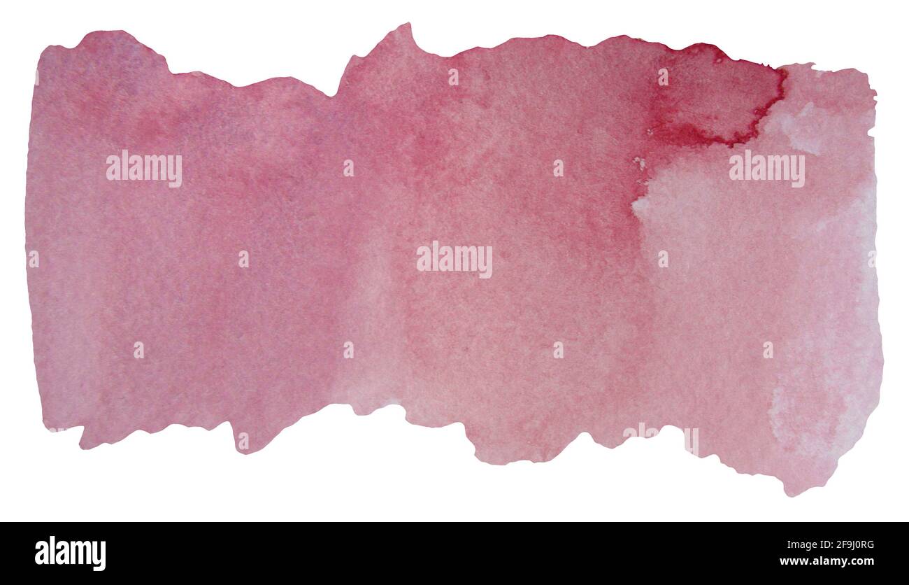 A spot of watercolors. Smooth transition of purple-pink paint. Wet ...