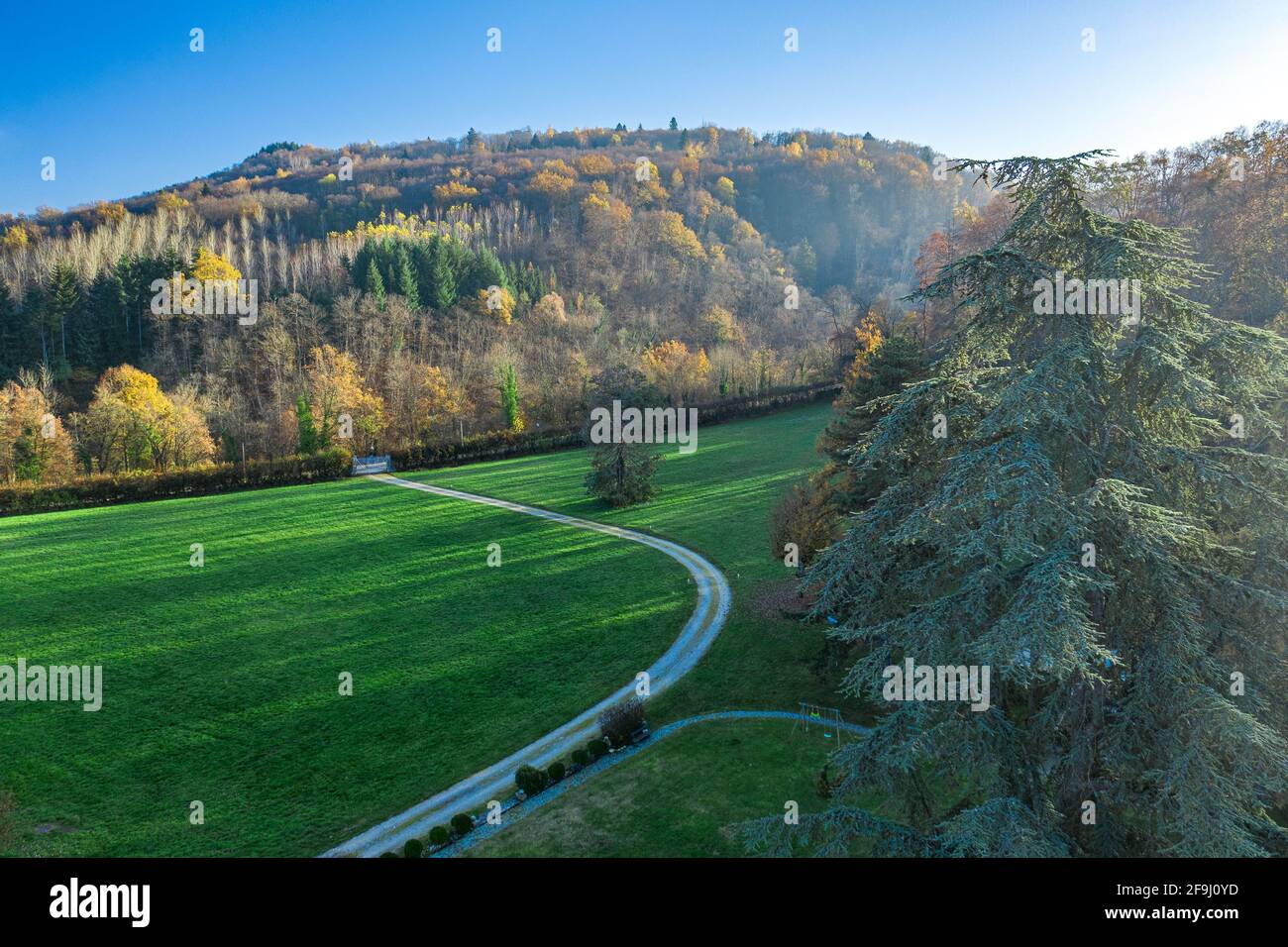 Top view of two diverging paths in a grassy field Stock Photo - Alamy