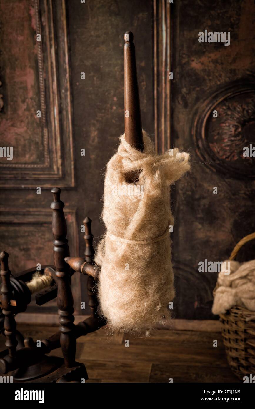 Still life image of an authentic old spinning wheel with real sheep ...