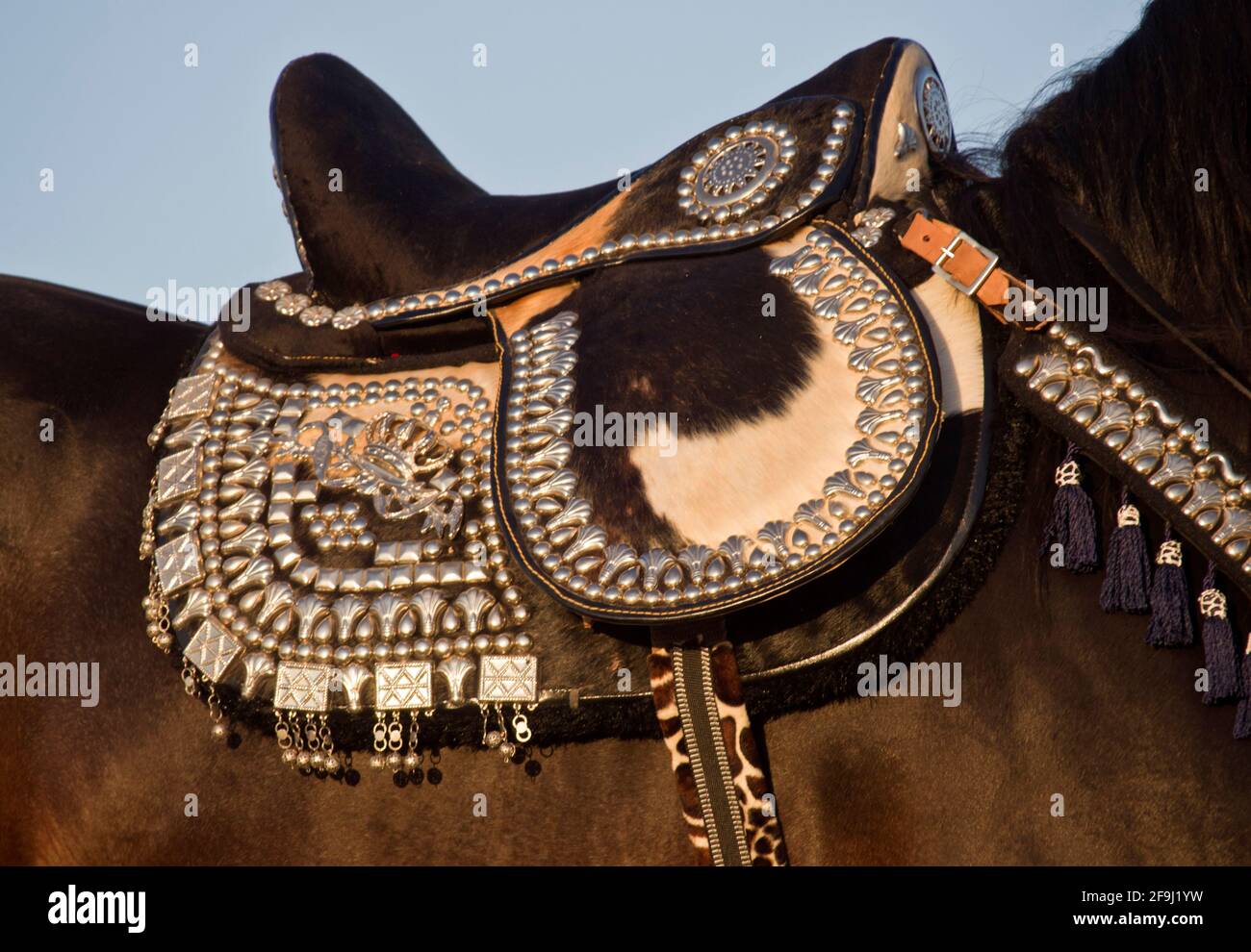 Traditional saddle, Egypt-style. Egypt Stock Photo - Alamy