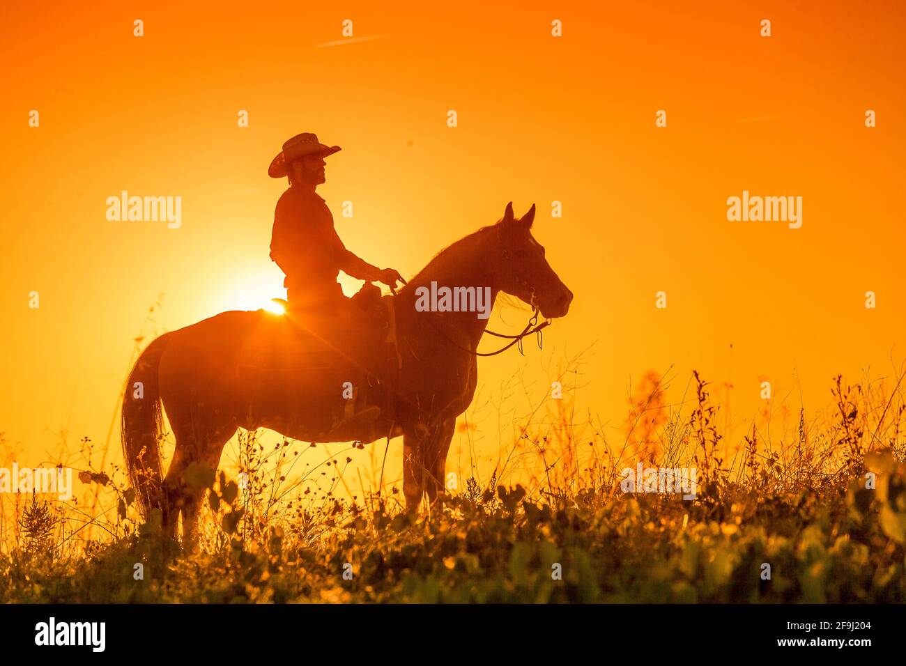 Silhouette man horse against sunset hi-res stock photography and images ...