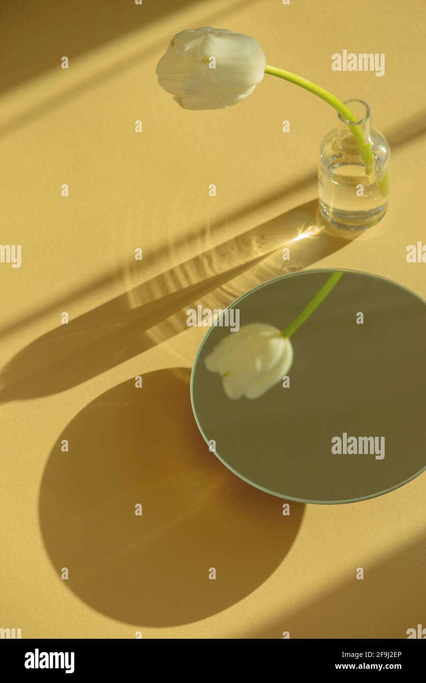 Mirror Reflection White Symbol High Resolution Stock Photography and ...