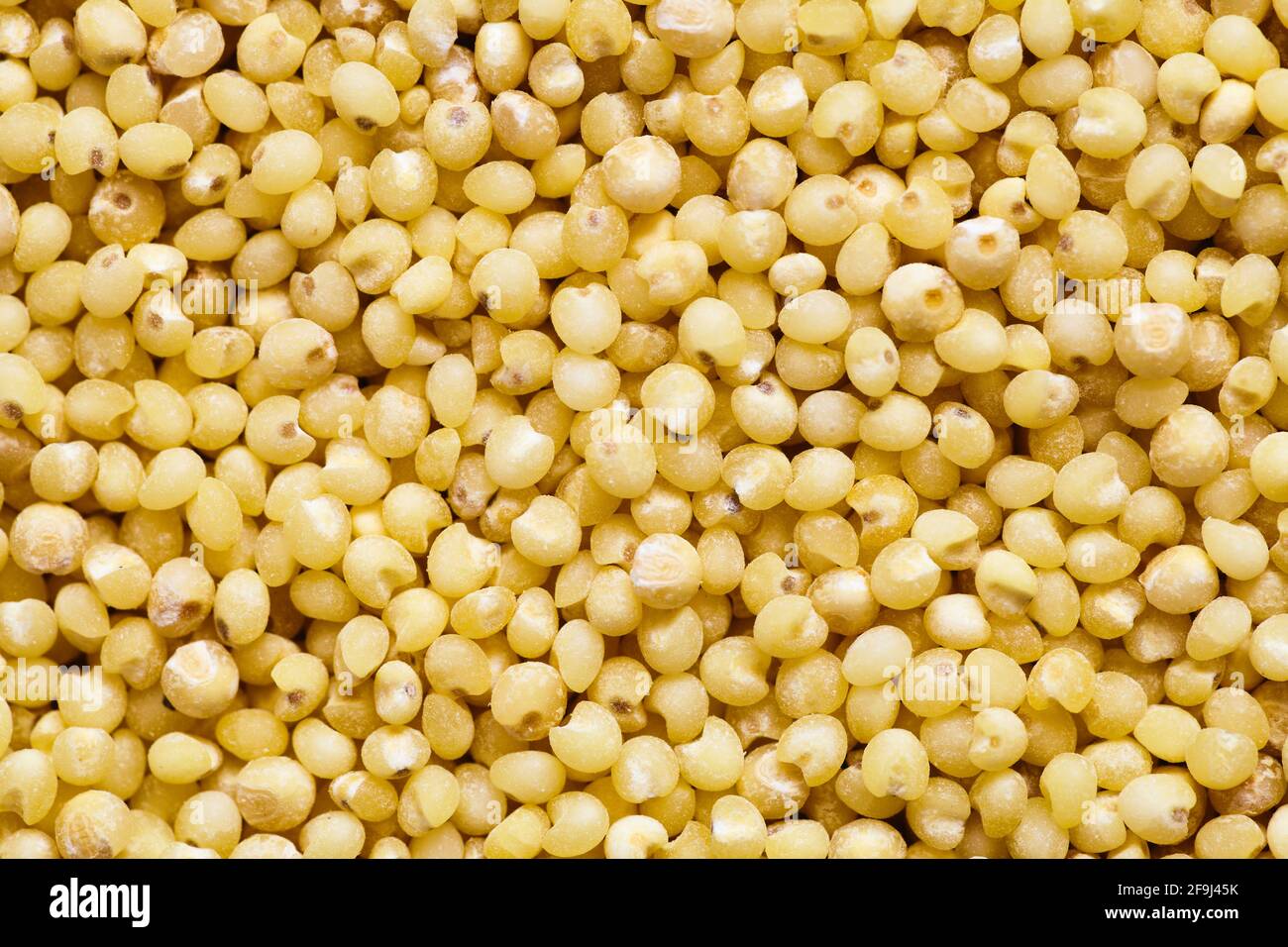 Couscous raw background. Dried couscous seeds closeup flat food texture ...