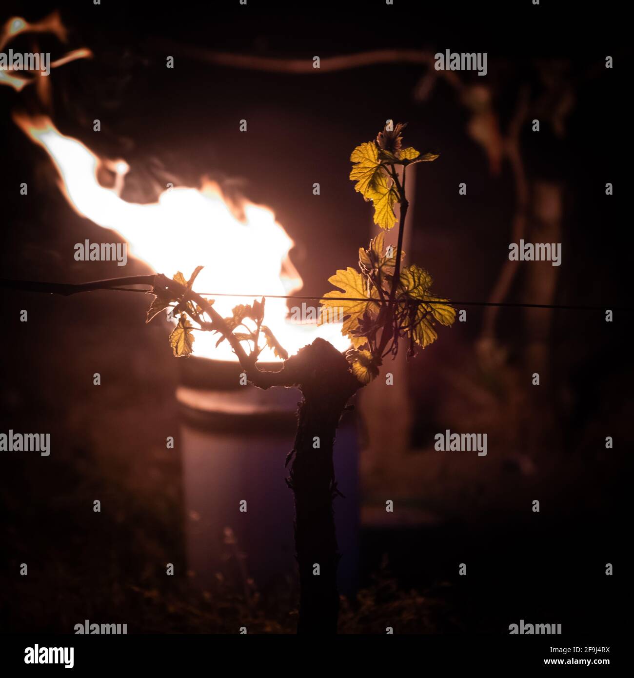 Smudge pots hi-res stock photography and images - Alamy