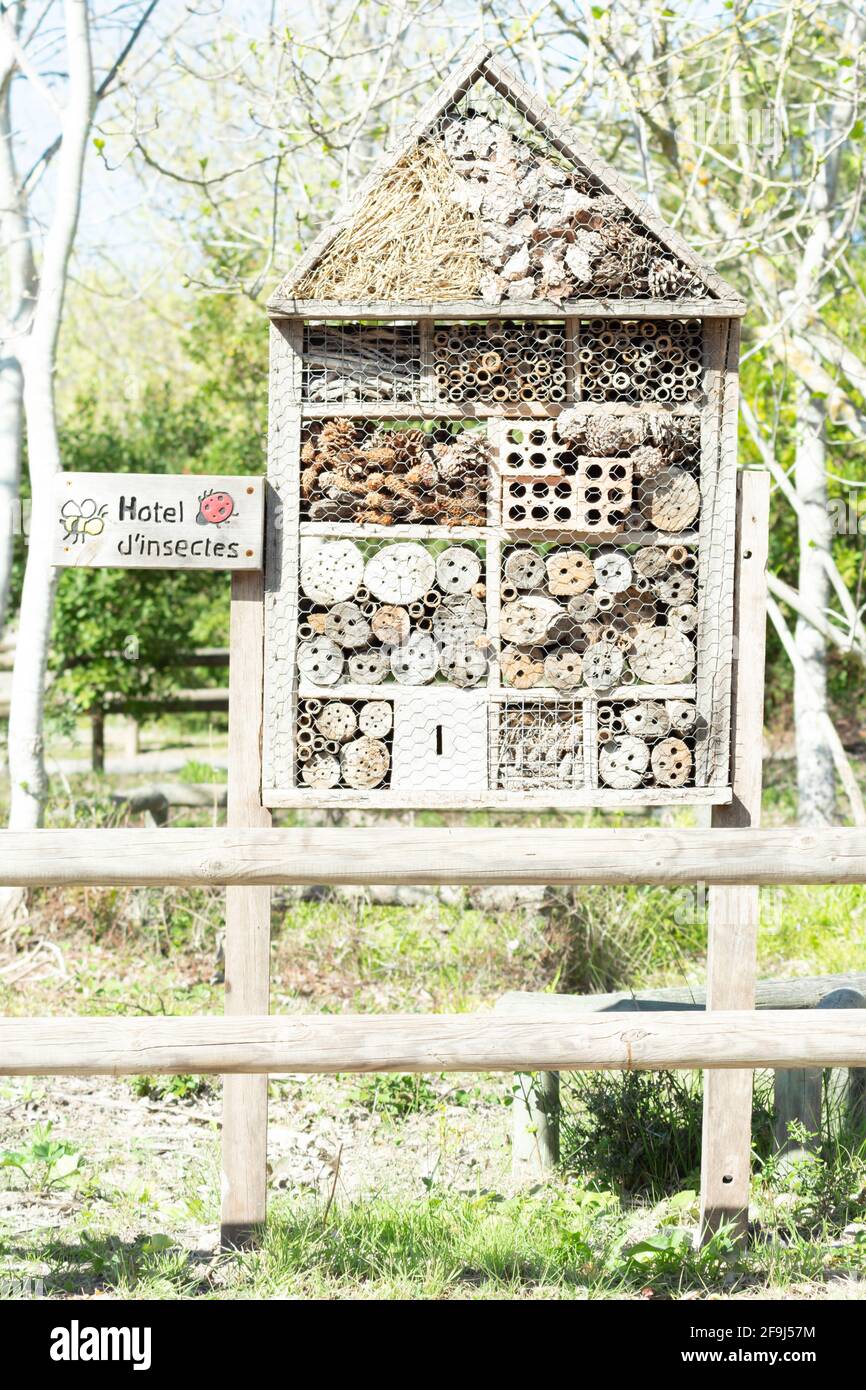 Insect building home hi-res stock photography and images - Alamy