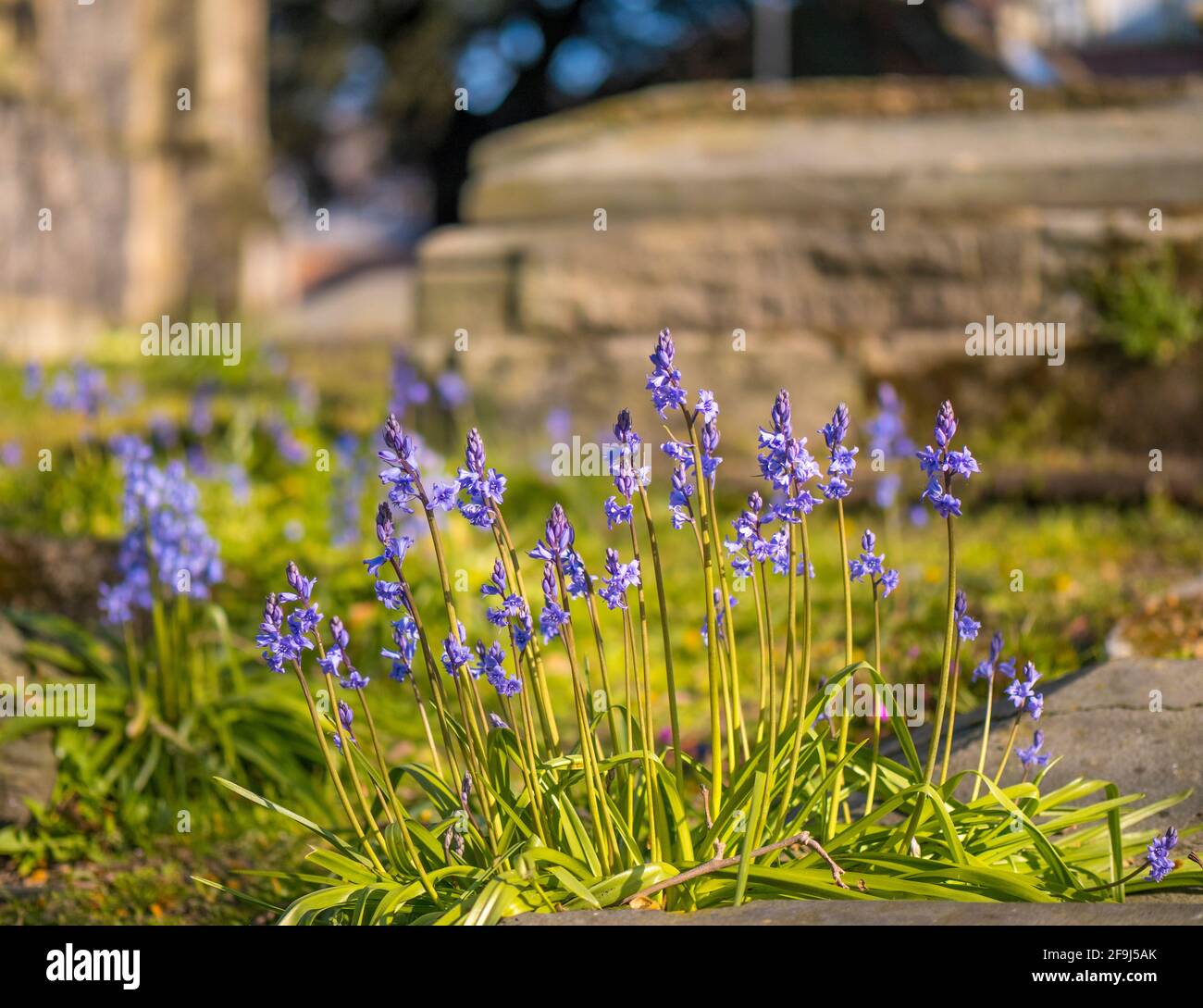 Reading minster of st mary the virgin churchyard hi-res stock ...