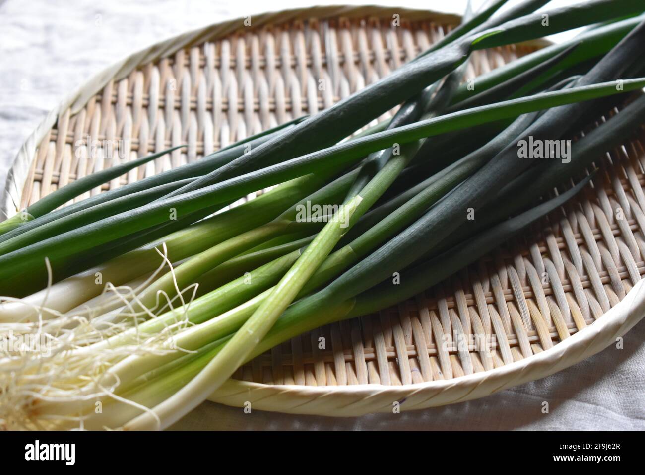 Kujo Green Onion, Vegetable produced in Kyoto, Japan Stock Photo - Alamy