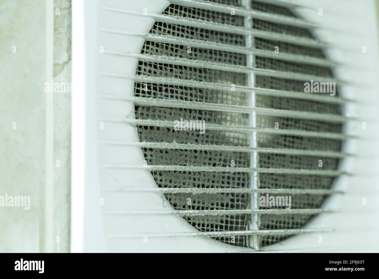 Dust removal hi-res stock photography and images - Alamy