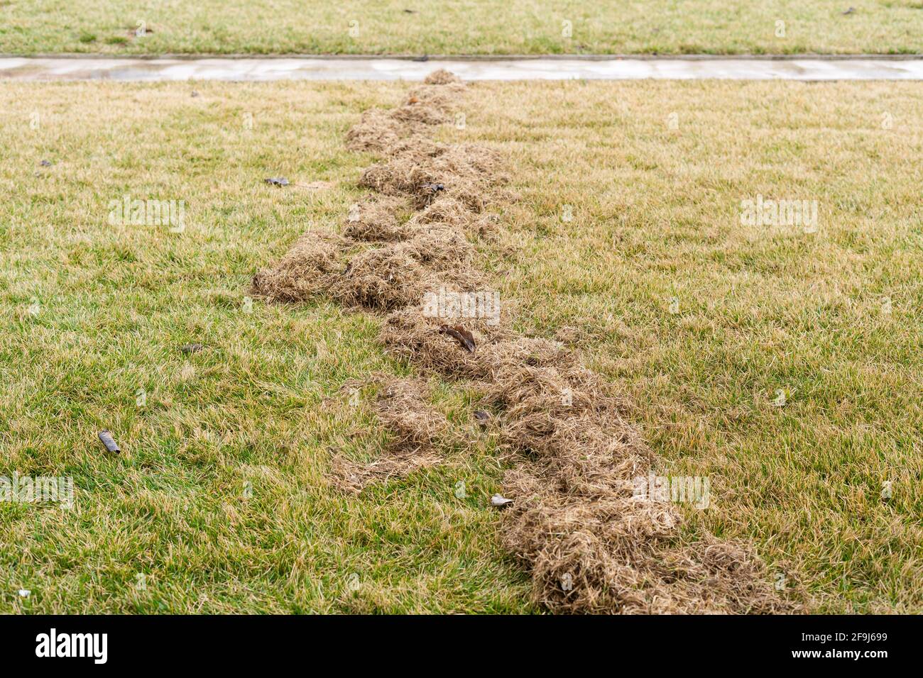 Rotten grass hi-res stock photography and images - Alamy