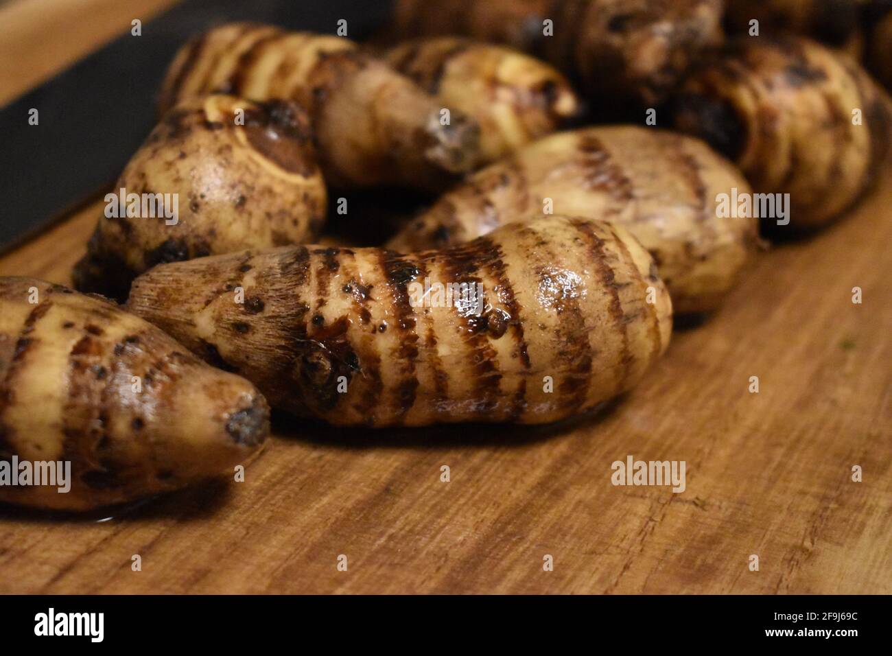 Ebi-imo (Colocasia antiquorum var. toonoimo), Vegetable Stock Photo - Alamy