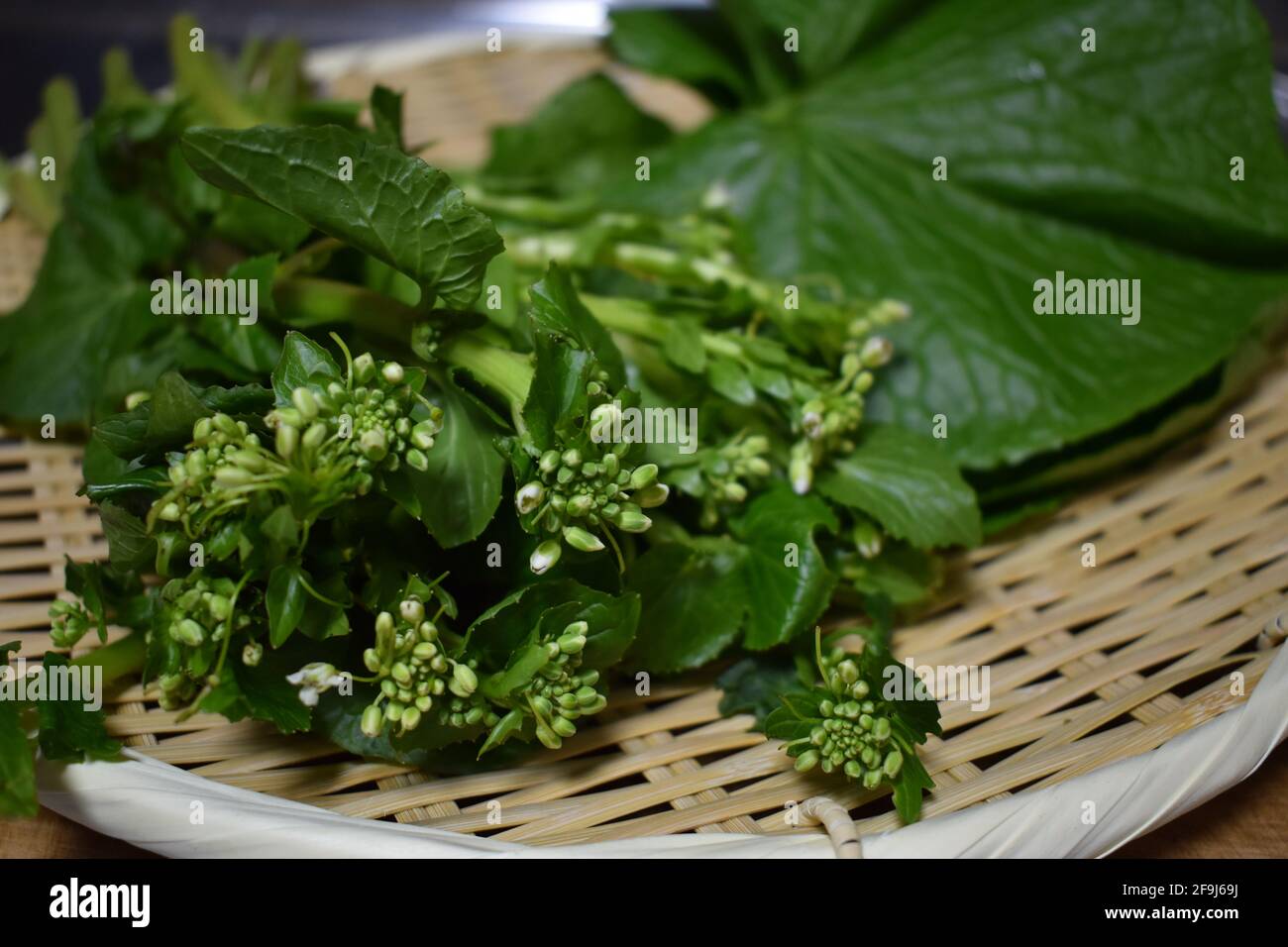Hanawasabi hi-res stock photography and images - Alamy