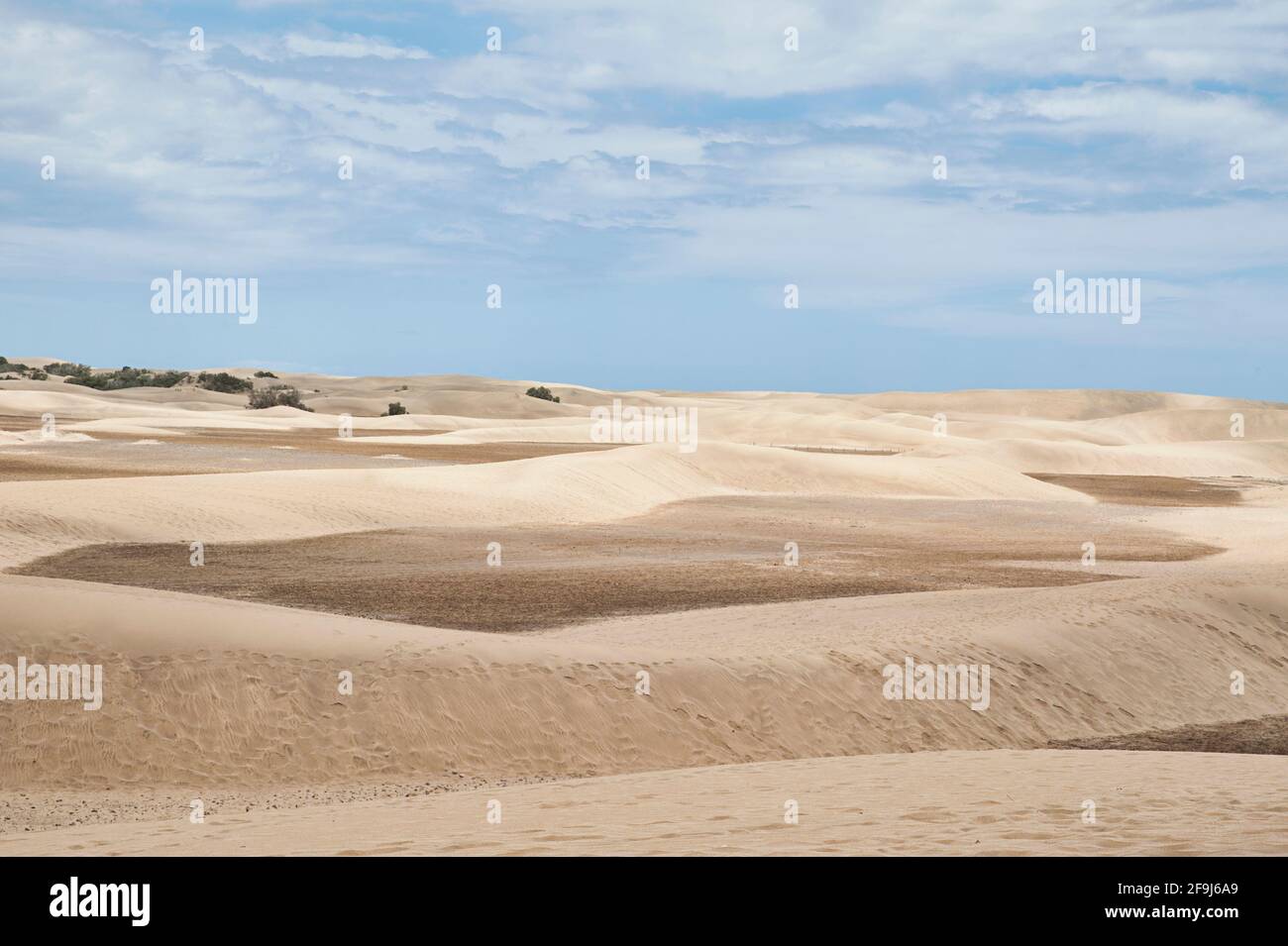 Landscape of the unusual sand formations, the Maspalomas Dunes nature ...