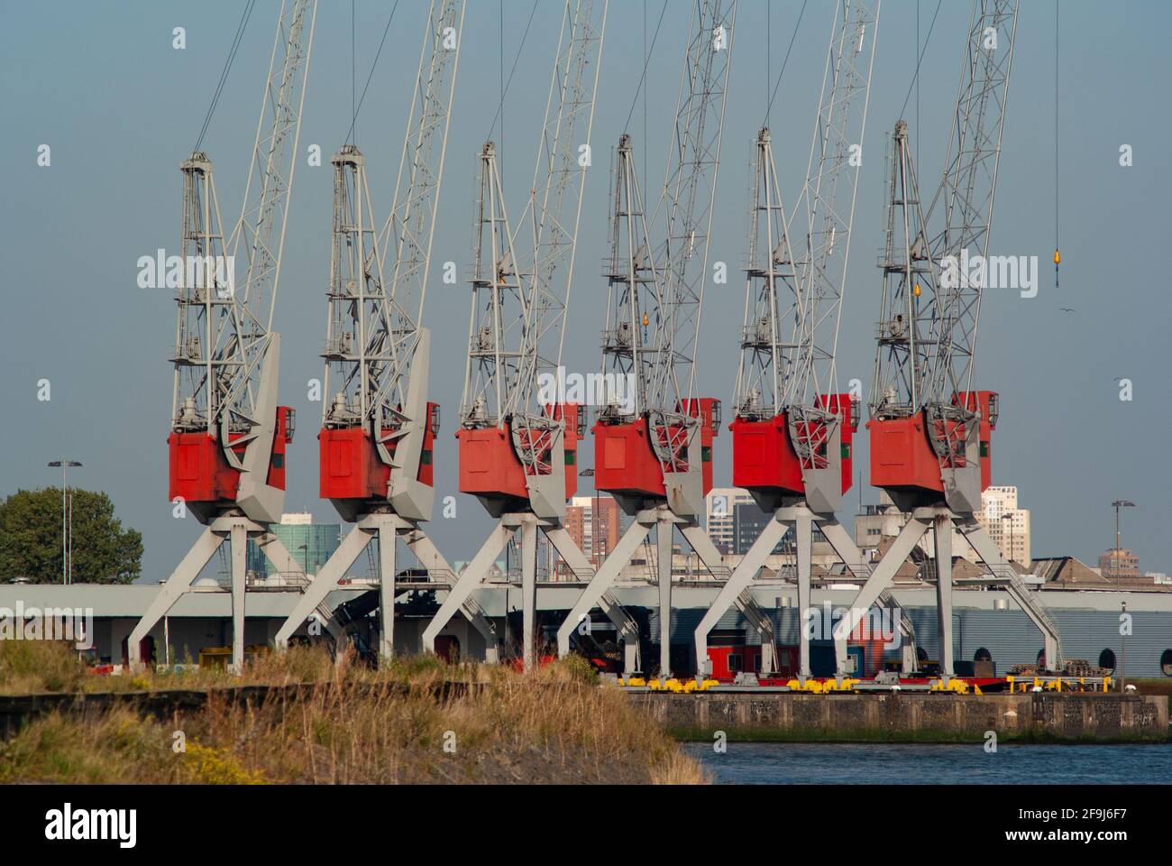Closeup of a row of red harbor cranes in Rotterdam, The Netherlands ...