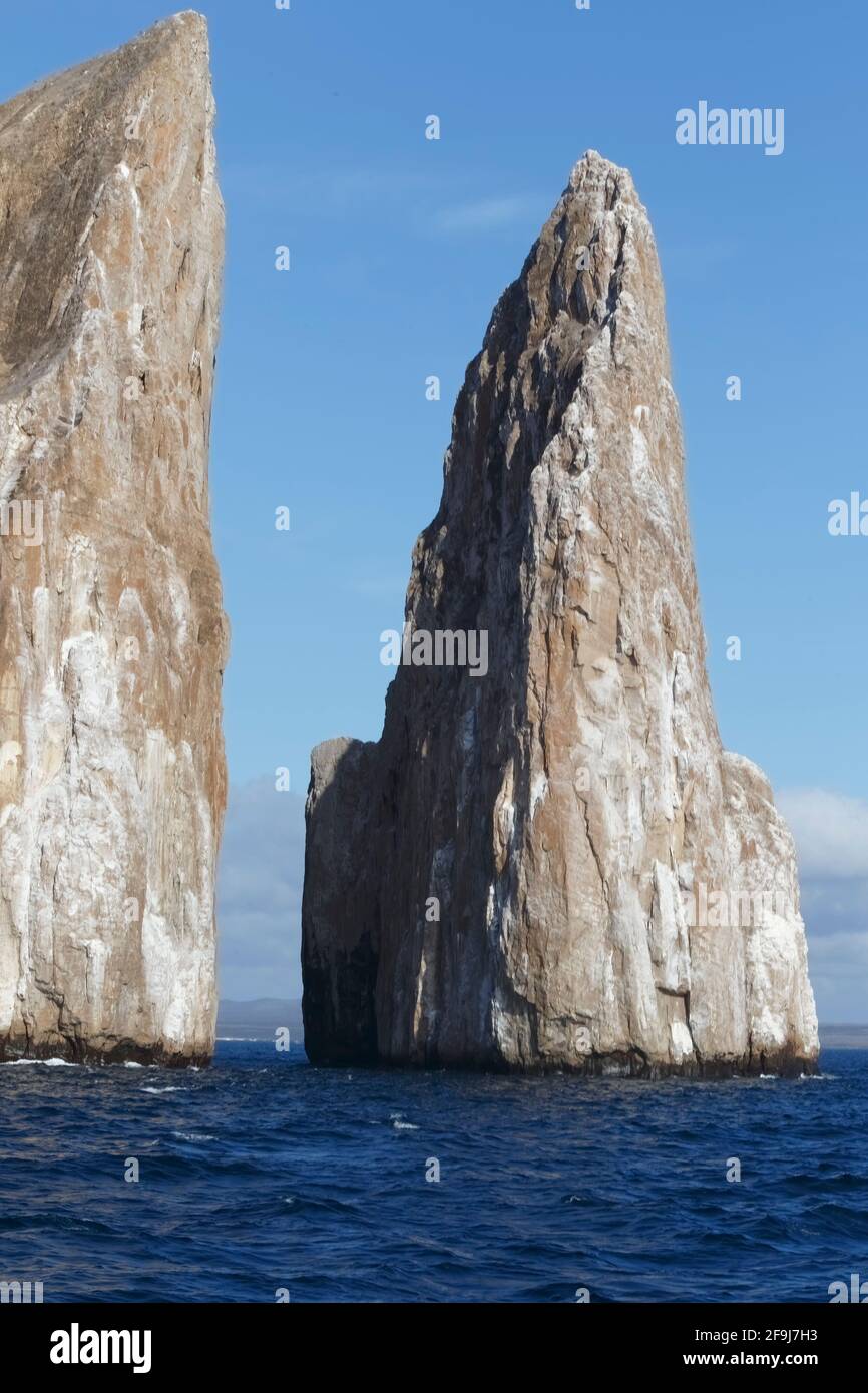 León dormido hi-res stock photography and images - Alamy