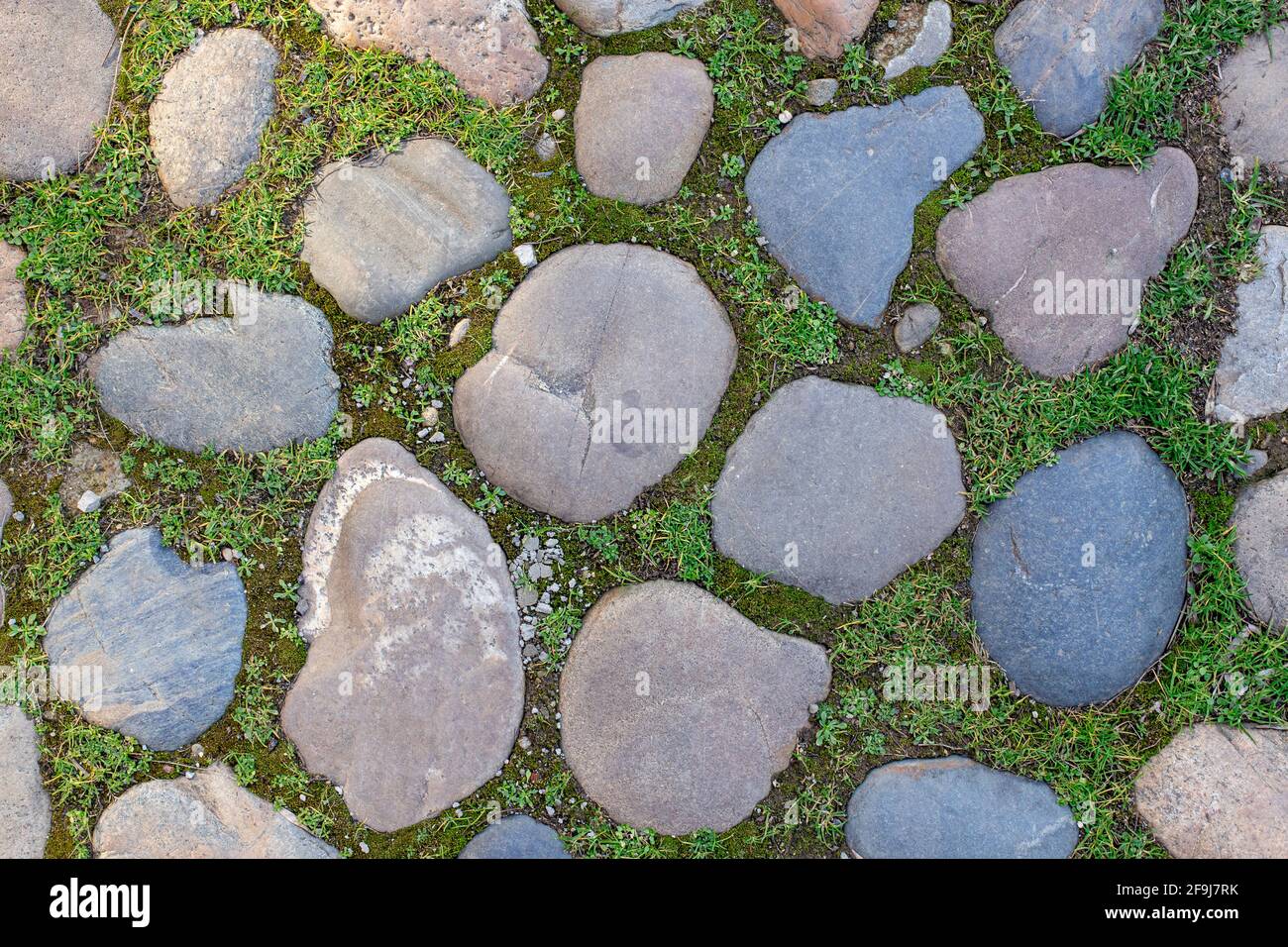 Grass paving pattern surface hi-res stock photography and images - Alamy