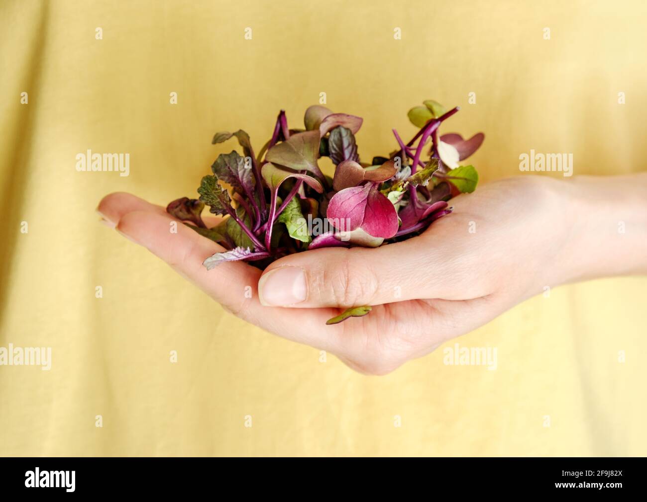 Woman holding plastic container with edible Red Rambo Radish ...