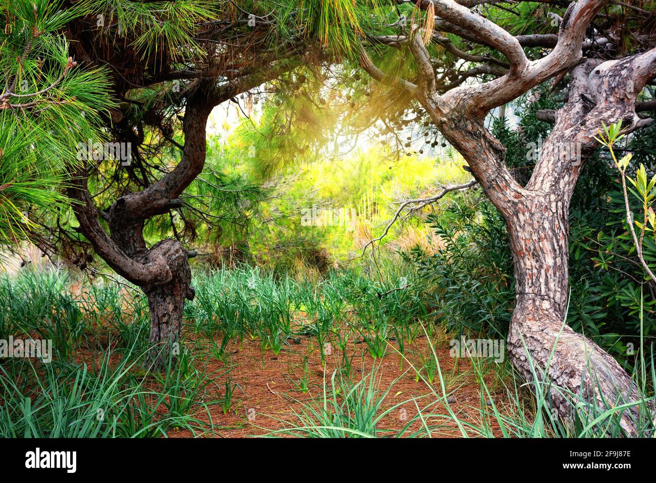 Original twisted hi-res stock photography and images - Alamy
