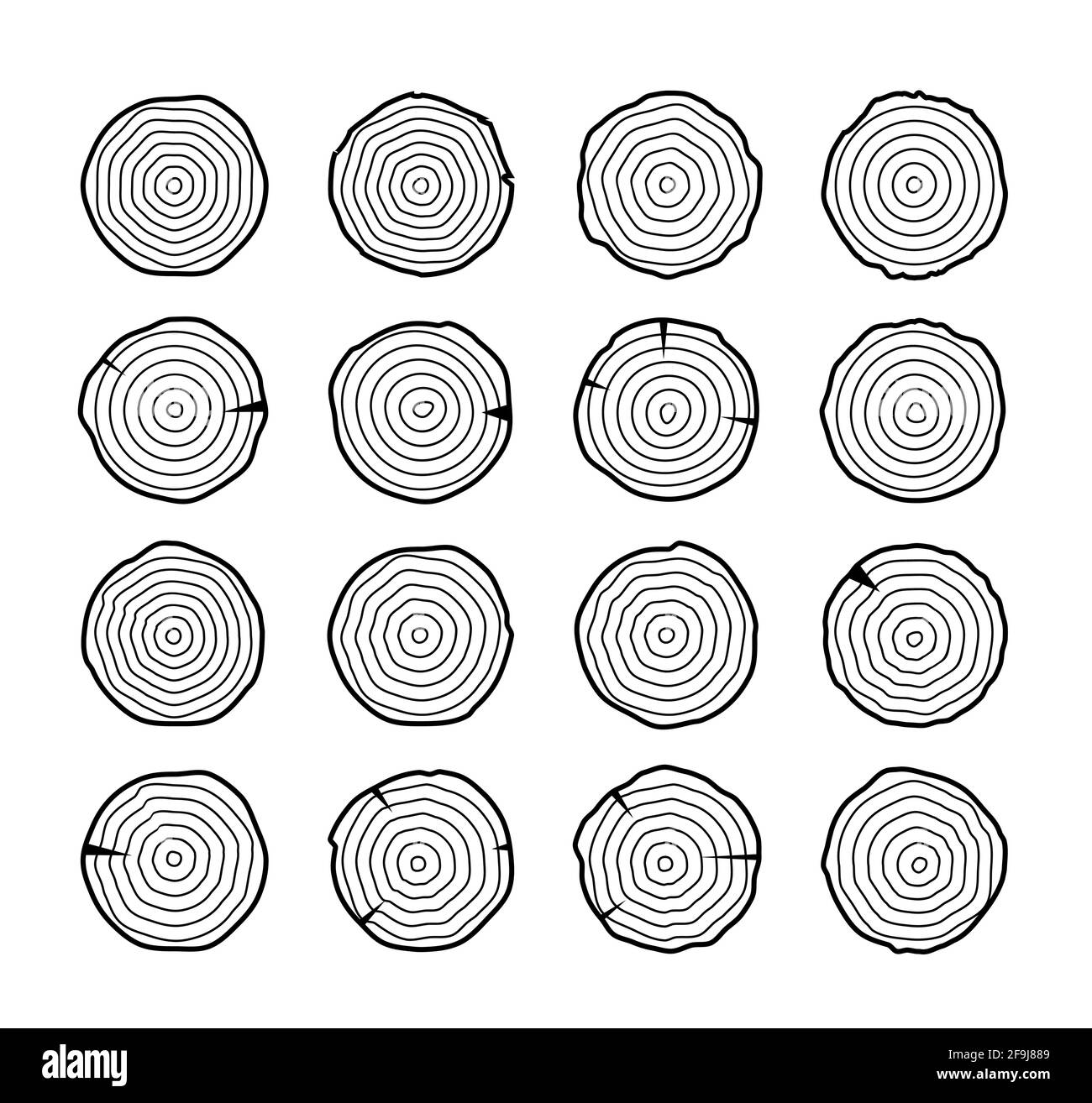 Tree growth rings wood trunk vector annual organic stump. Tree circle ...