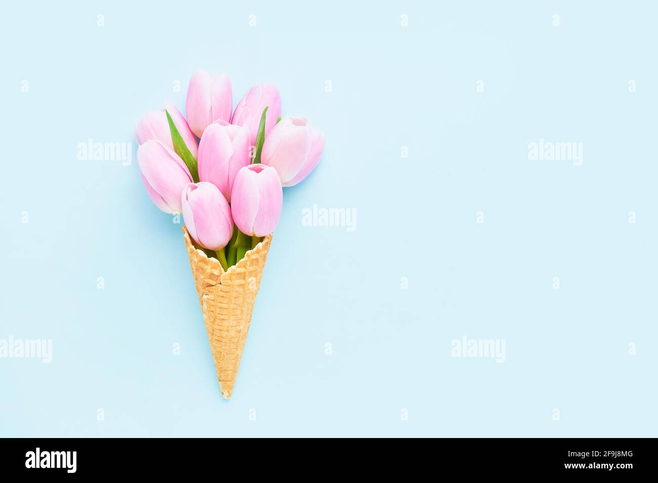 Pink tulips bouquet in waffle ice cream cone on a light blue background ...