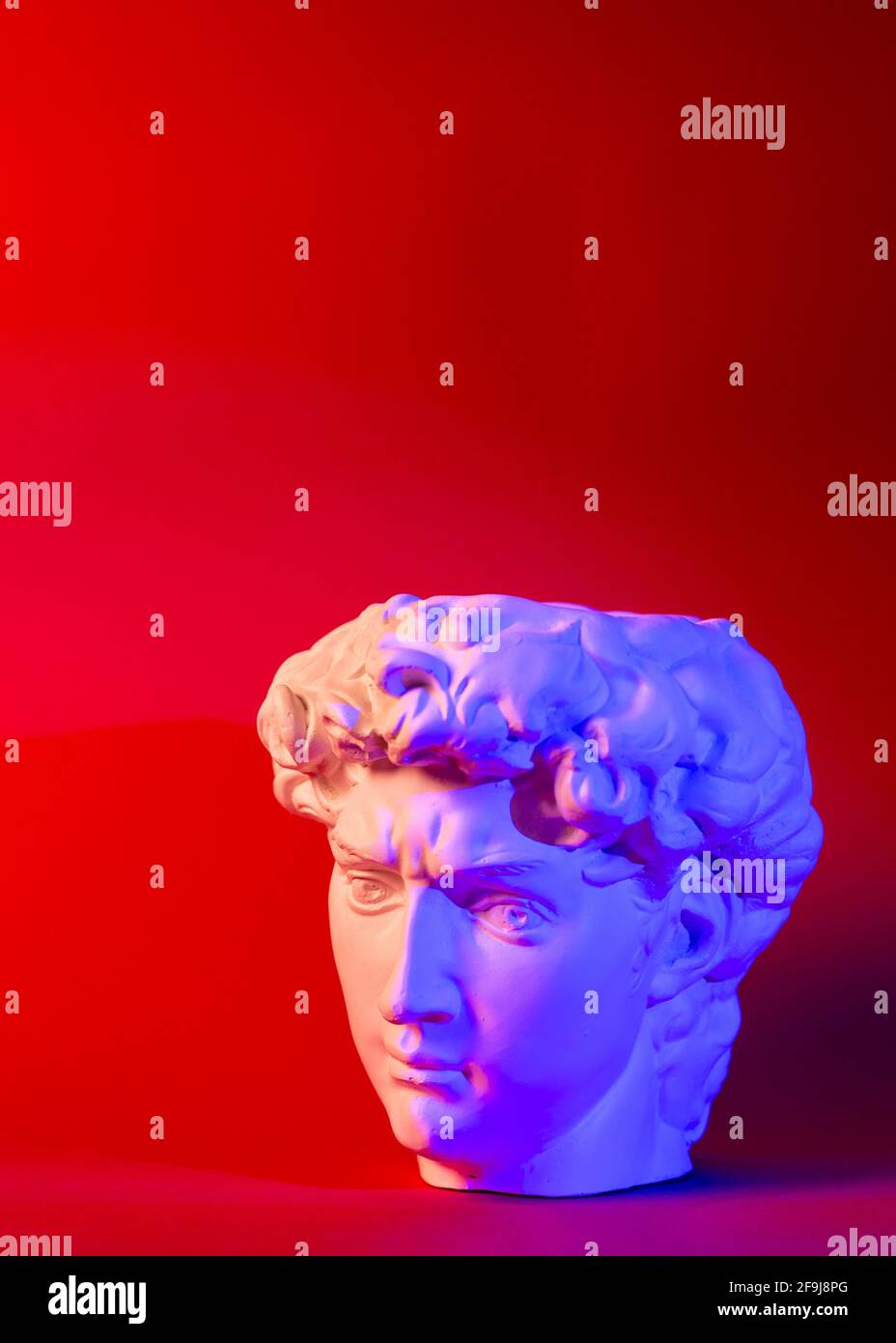 Gypsum statue of David's head. Michelangelo's David statue plaster copy Stock Photo - Alamy