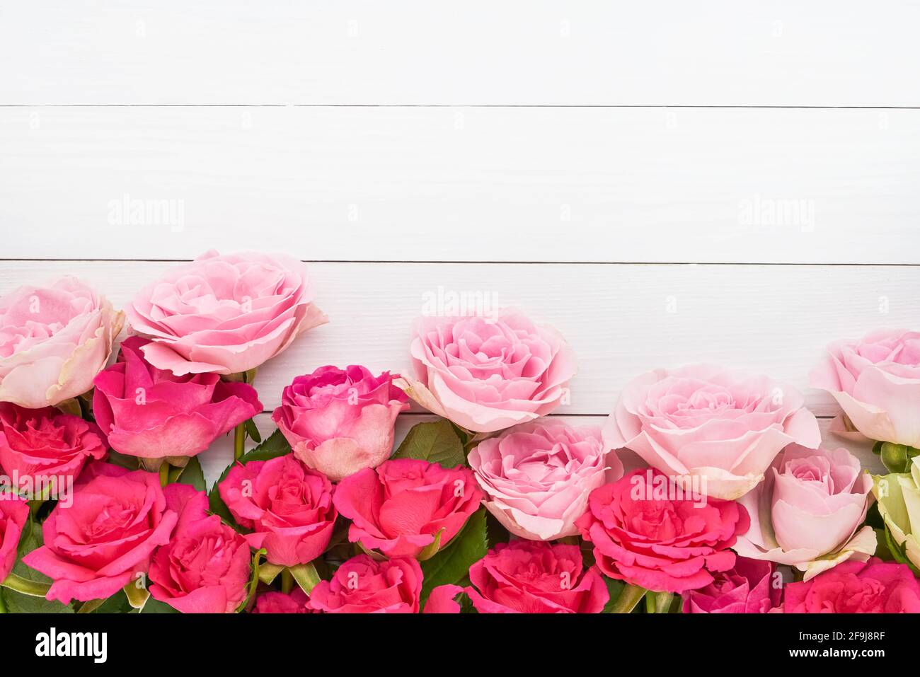Greeting card. Border of pink roses on white wooden background. Mothers ...