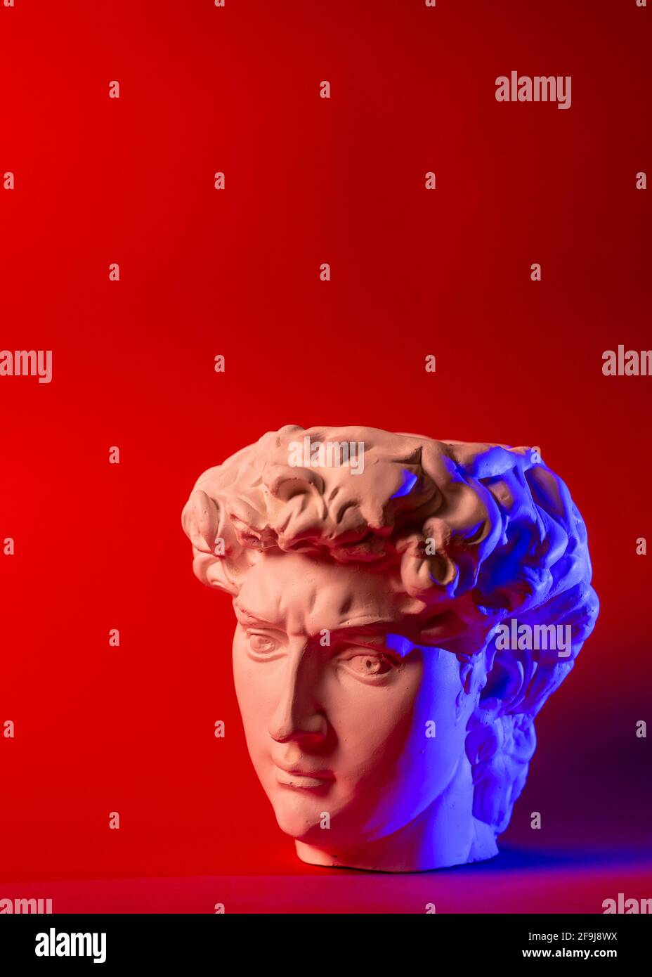 Gypsum statue of David's head. Michelangelo's David statue plaster copy Stock Photo - Alamy