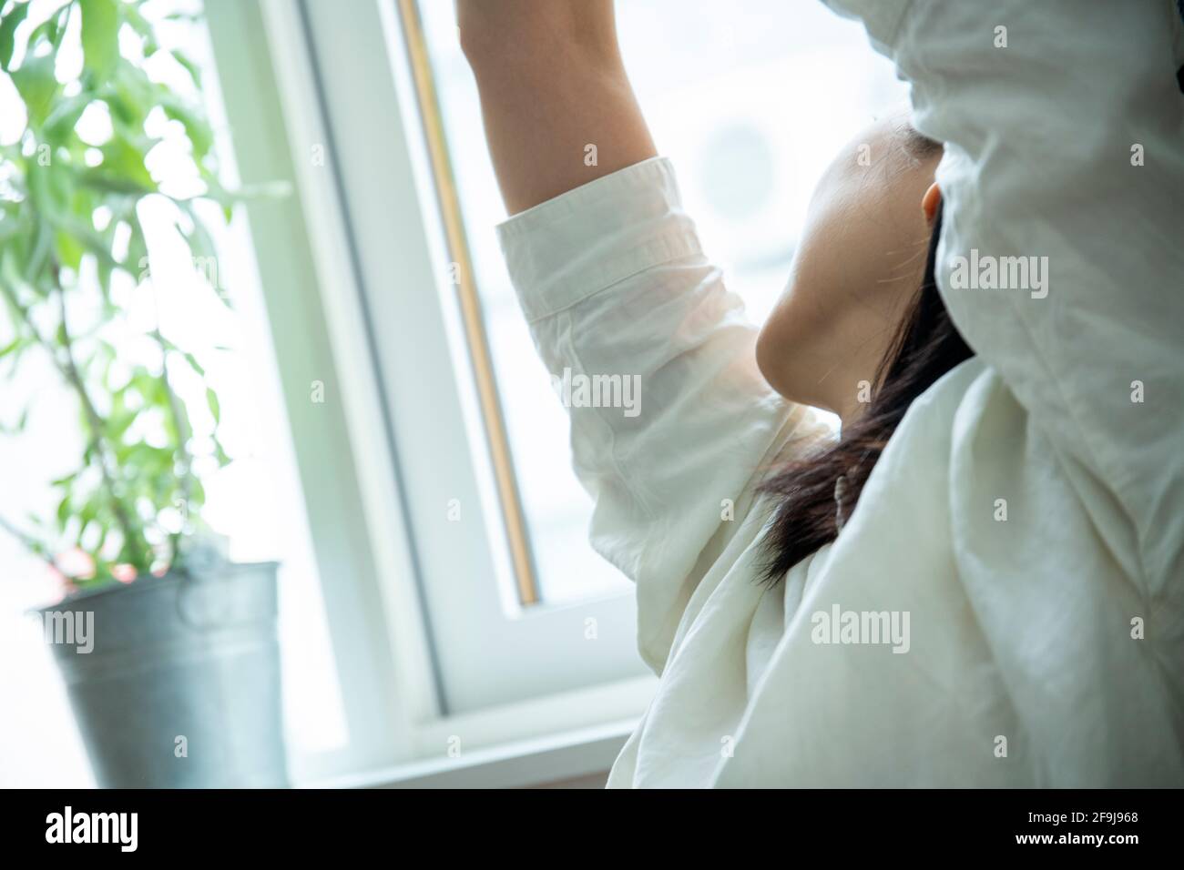 Houseplant break hi-res stock photography and images - Alamy