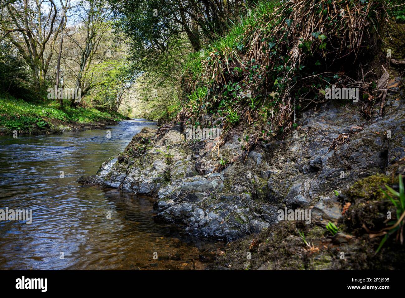 Best Walks to Take in Devon,Best Walks in Devon,teign valley,scenic ...