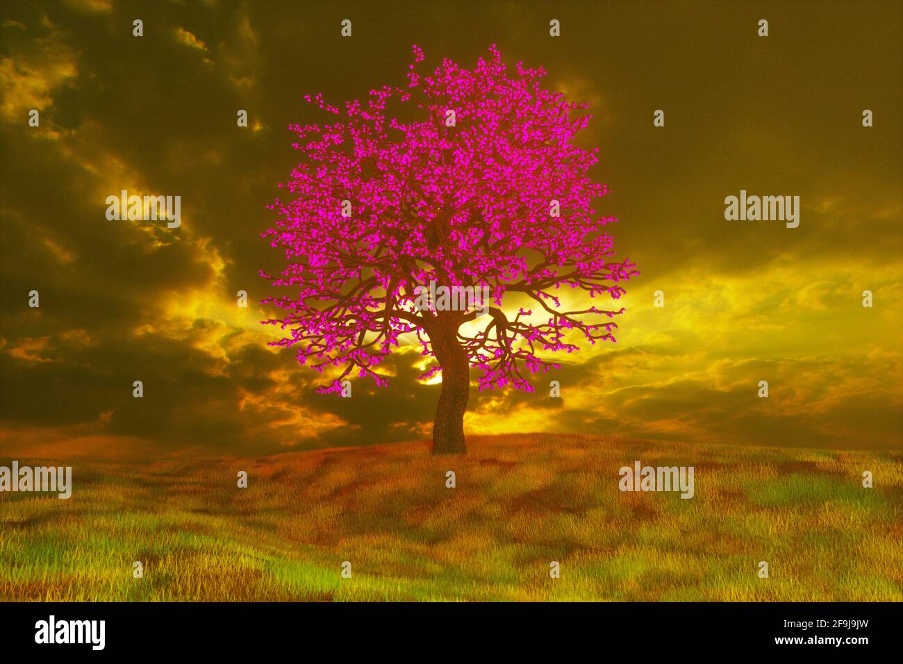 a mysterious magic tree (3d rendering Stock Photo - Alamy