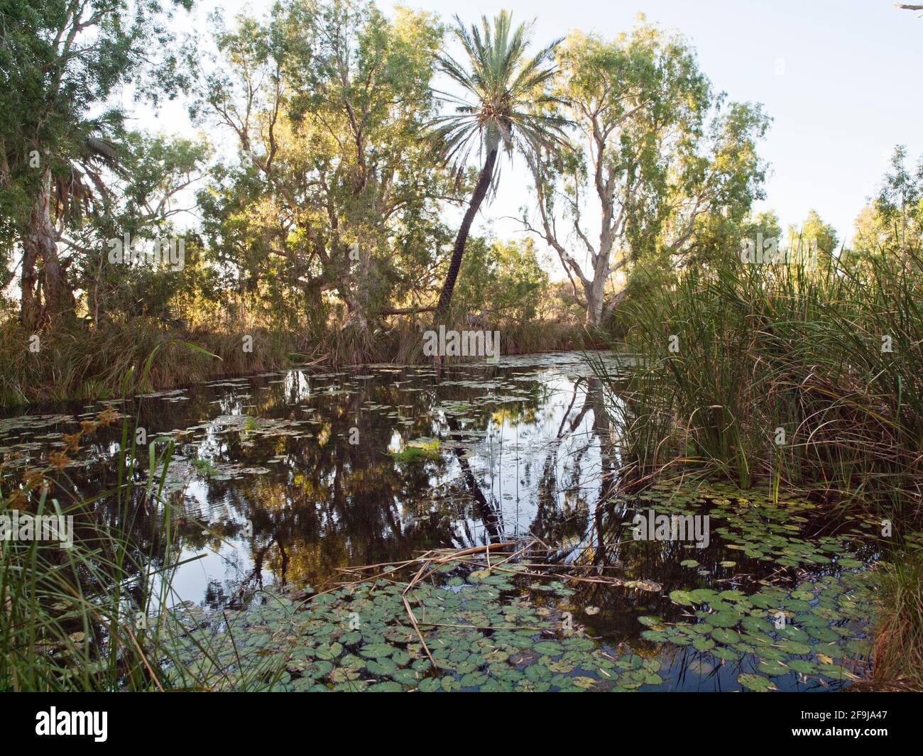 Indigenous culture western australia hi-res stock photography and ...