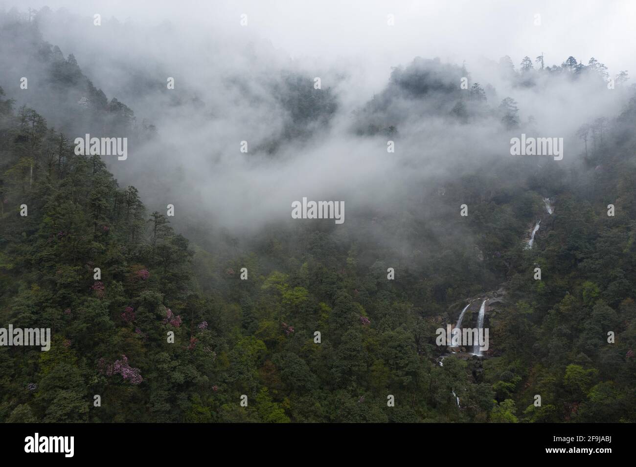 Daxiangling hi-res stock photography and images - Alamy