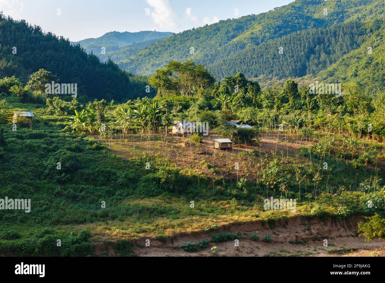 Jungle Village, Phongsaly Province, Laos. Wooden buildings and a ...